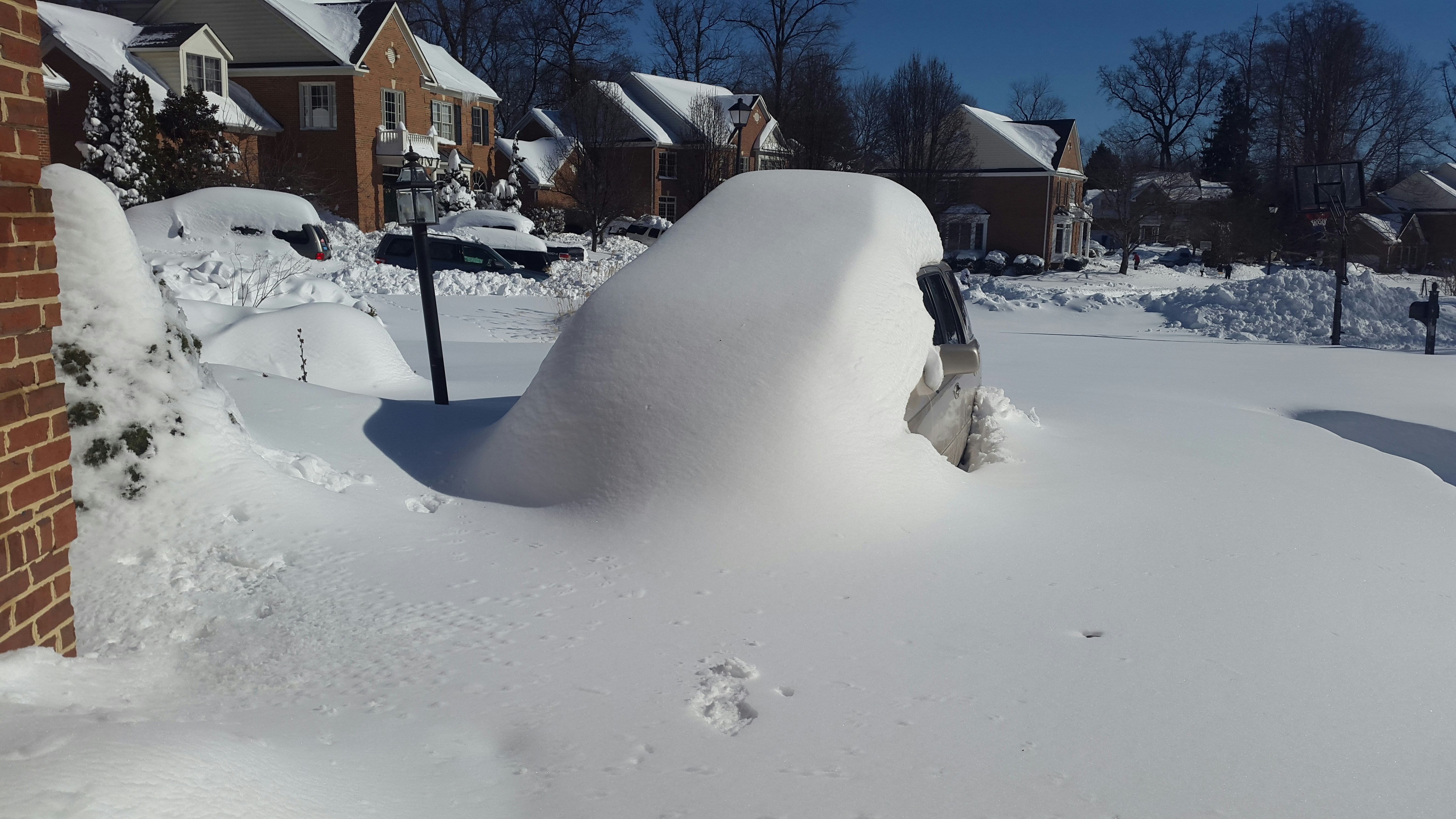Monolithic Snow Drift Anchors a Quiet Suburban Winter Morning