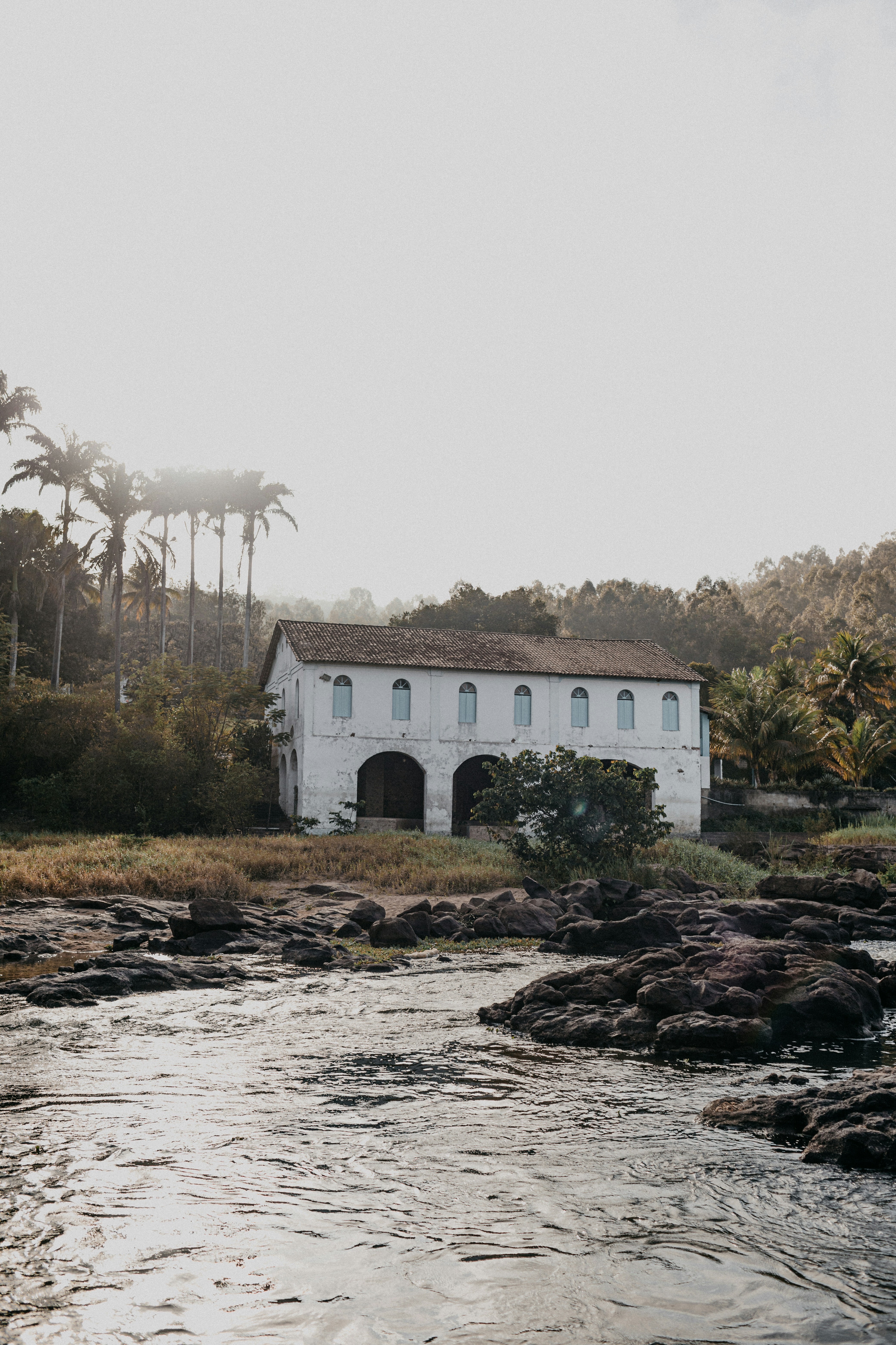 Coastal White Villa Framed by Palm Groves at Dusk