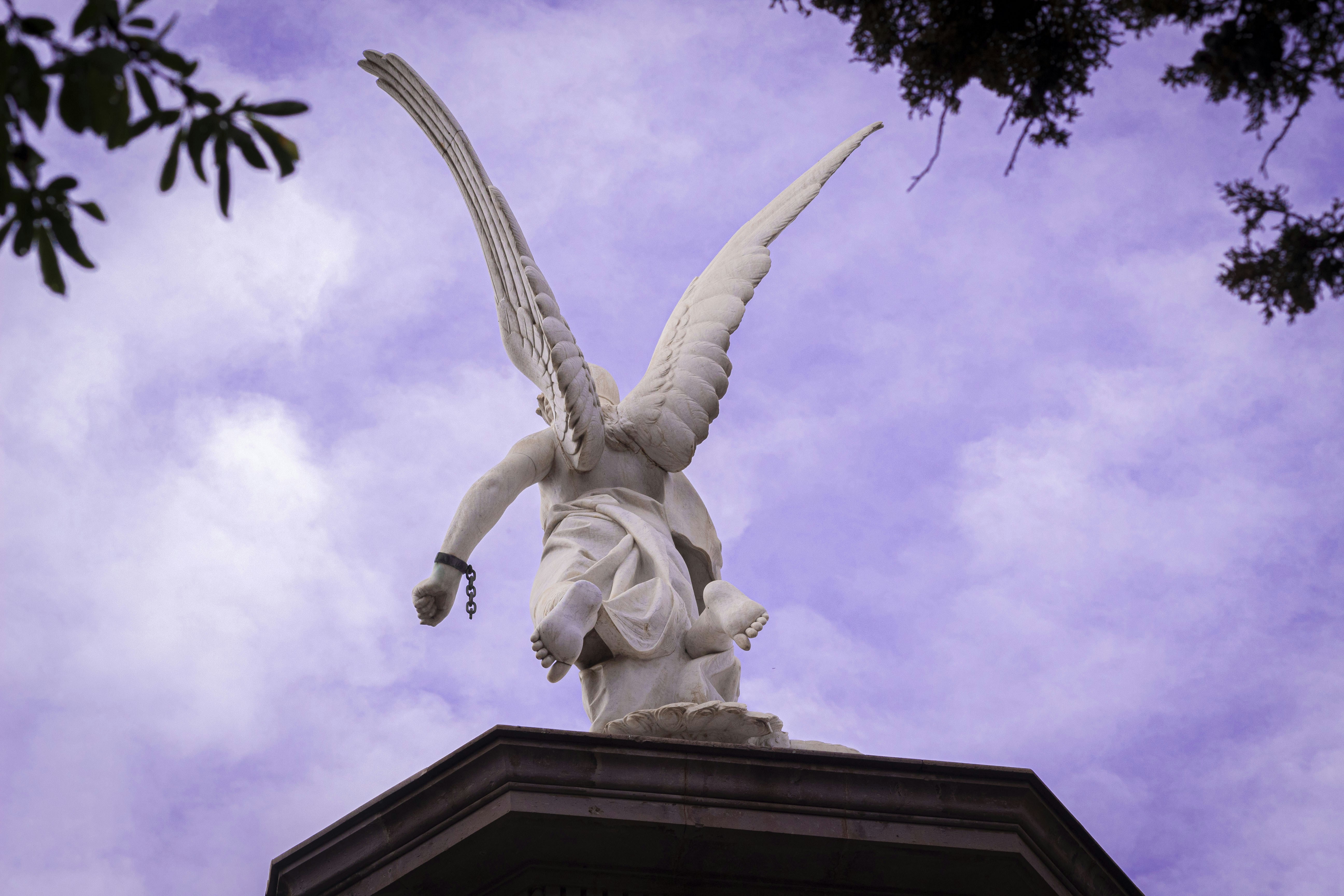 Statue of an angel with outstretched wings atop a pedestal framed by tree branches under a purple-tinged sky.