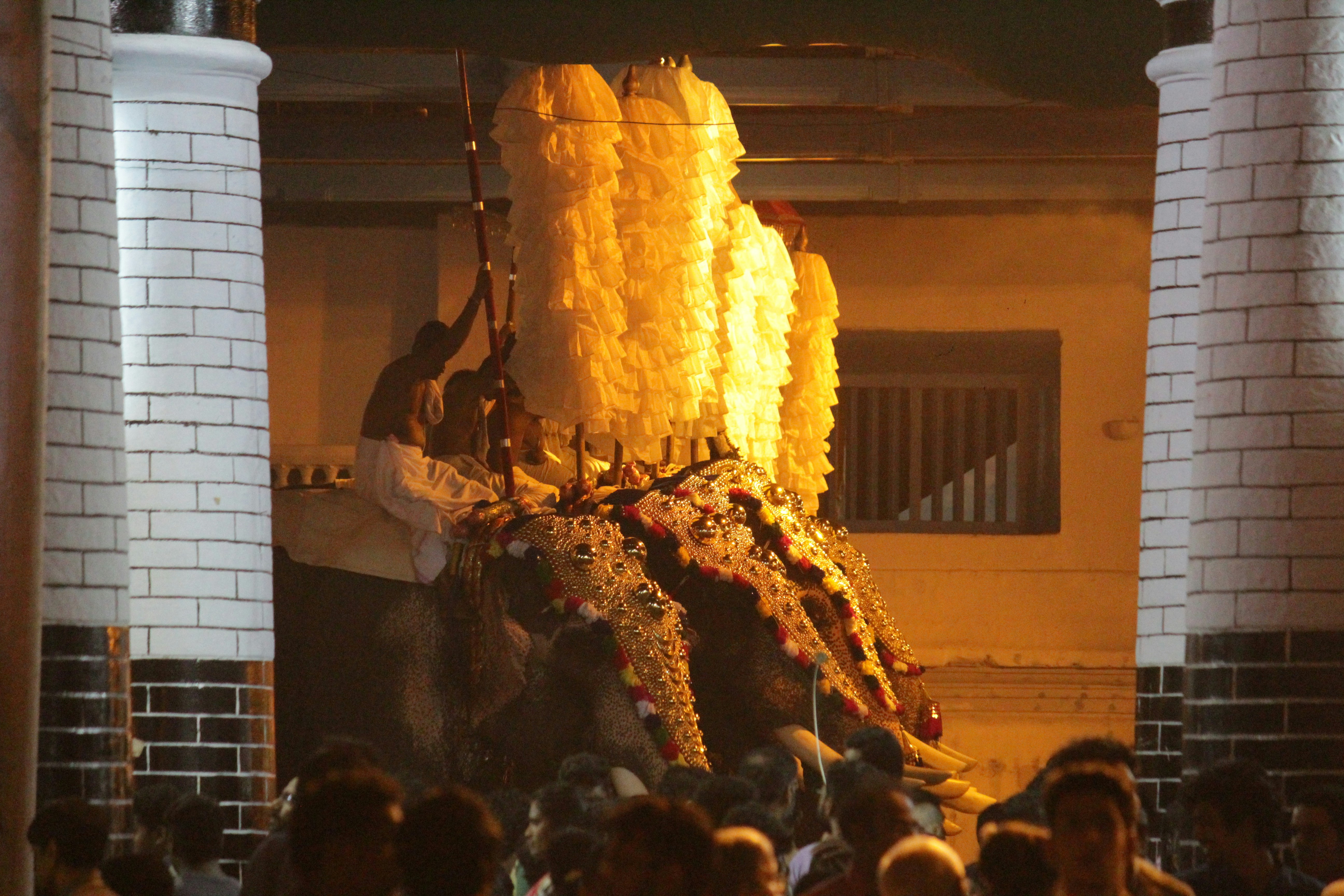 An elaborately adorned elephant is paraded through a bustling crowd at night, illuminated by glowing decorations. The atmosphere is vibrant and festive.