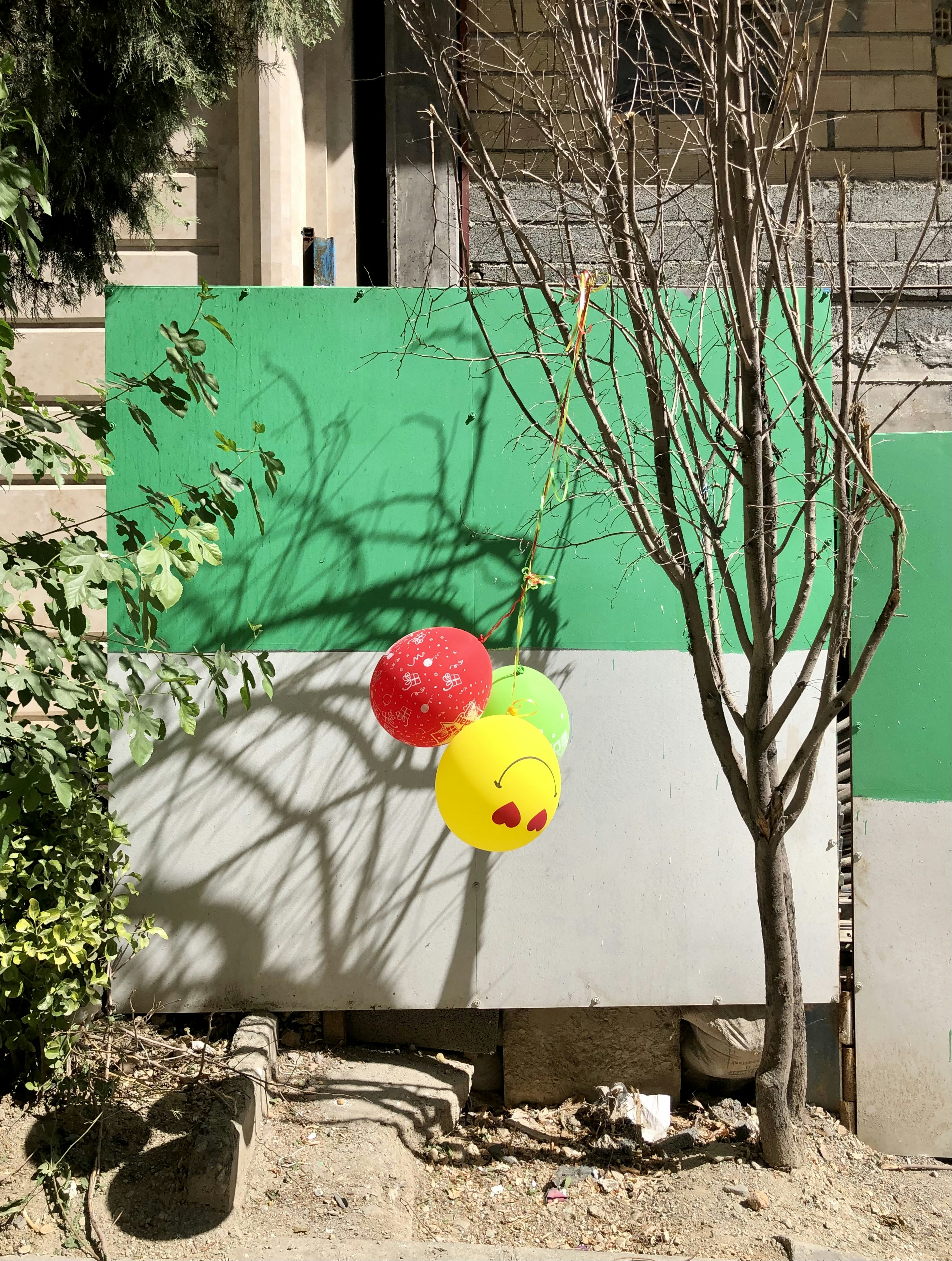 Balloon Duo Framed by a Sunlit Green Construction Wall