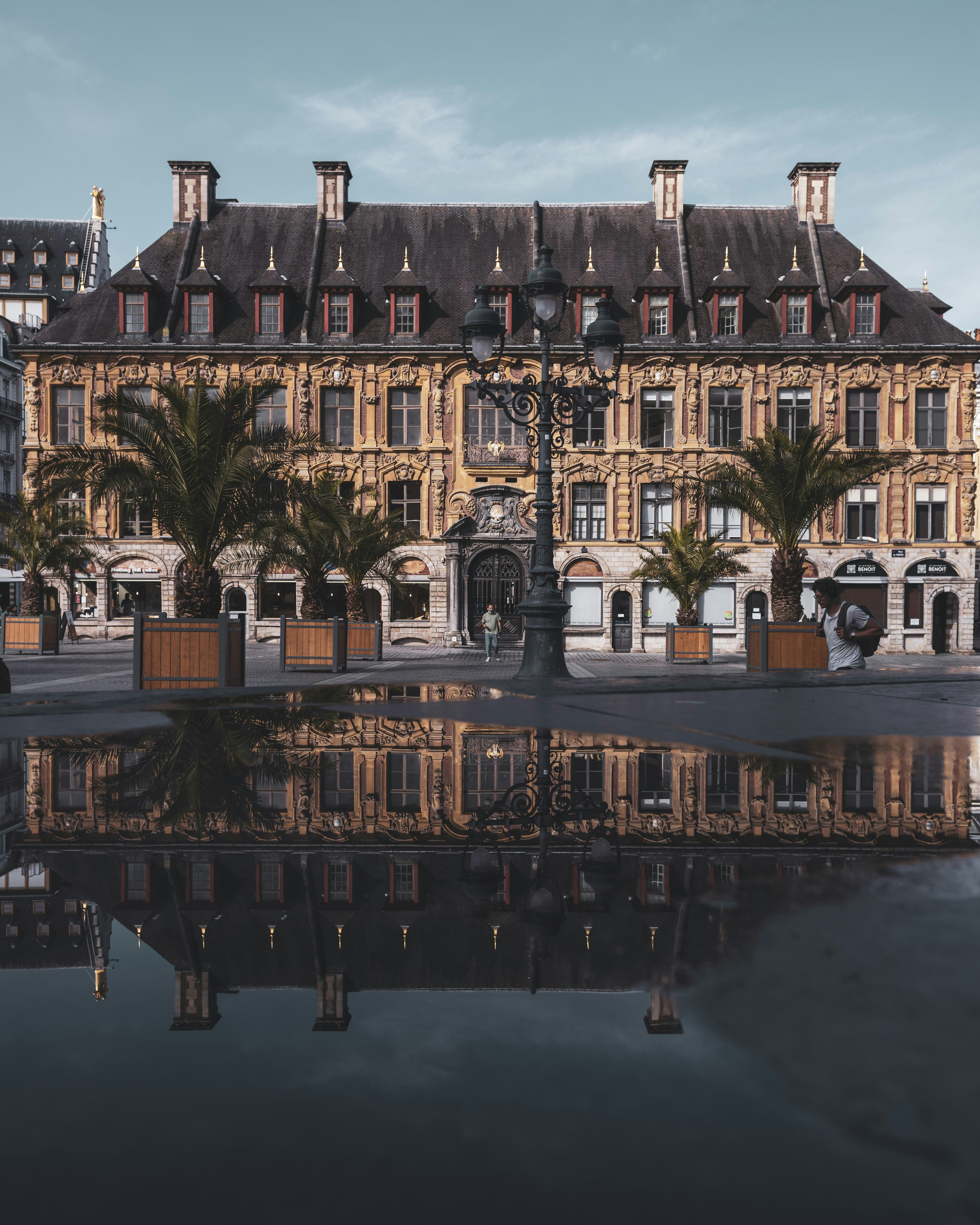Historic building with ornate architecture and palm trees reflected in a water surface, showcasing a blend of nature and urban design.