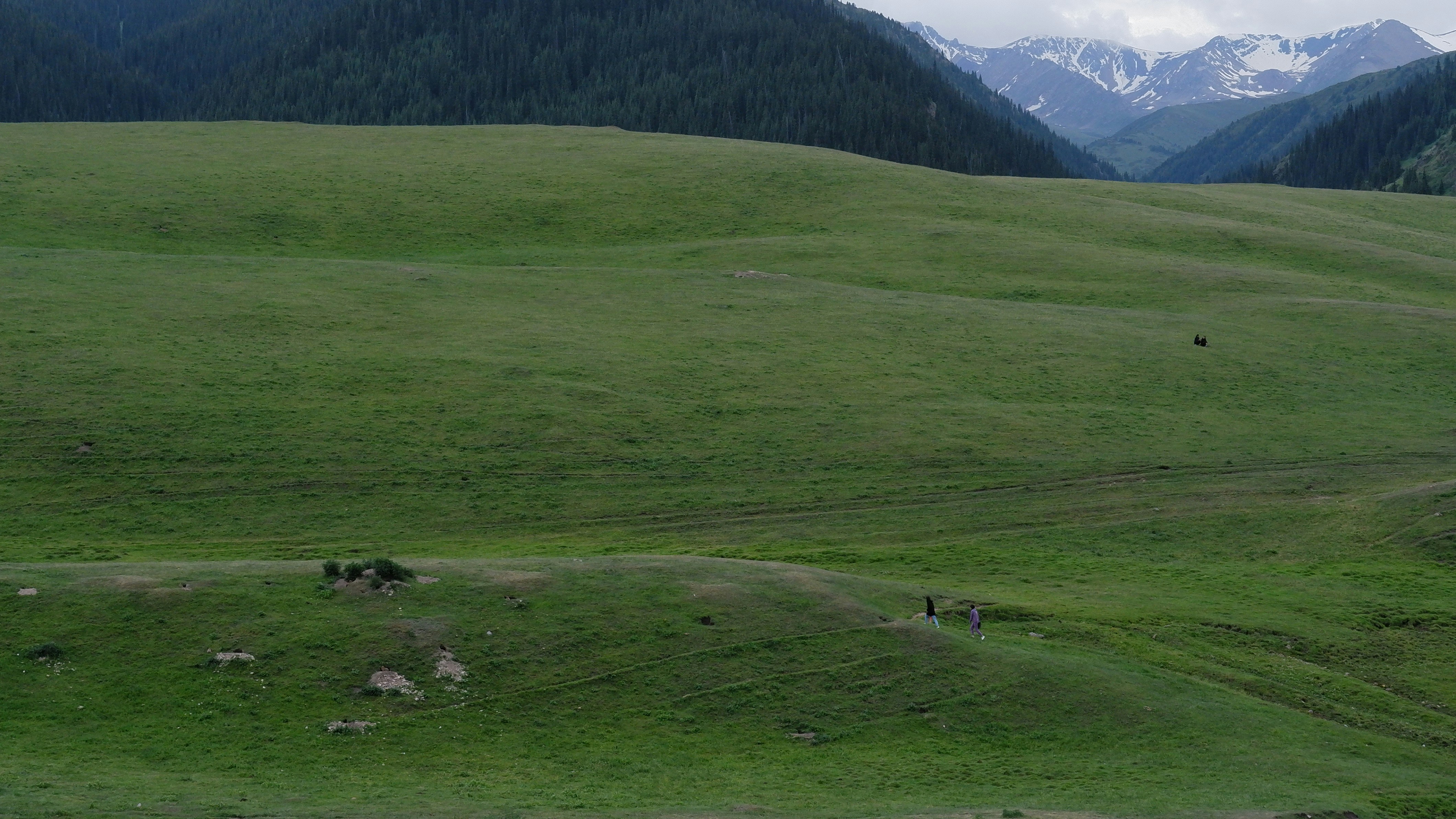 Trail through emerald hills toward snow-kissed summits
