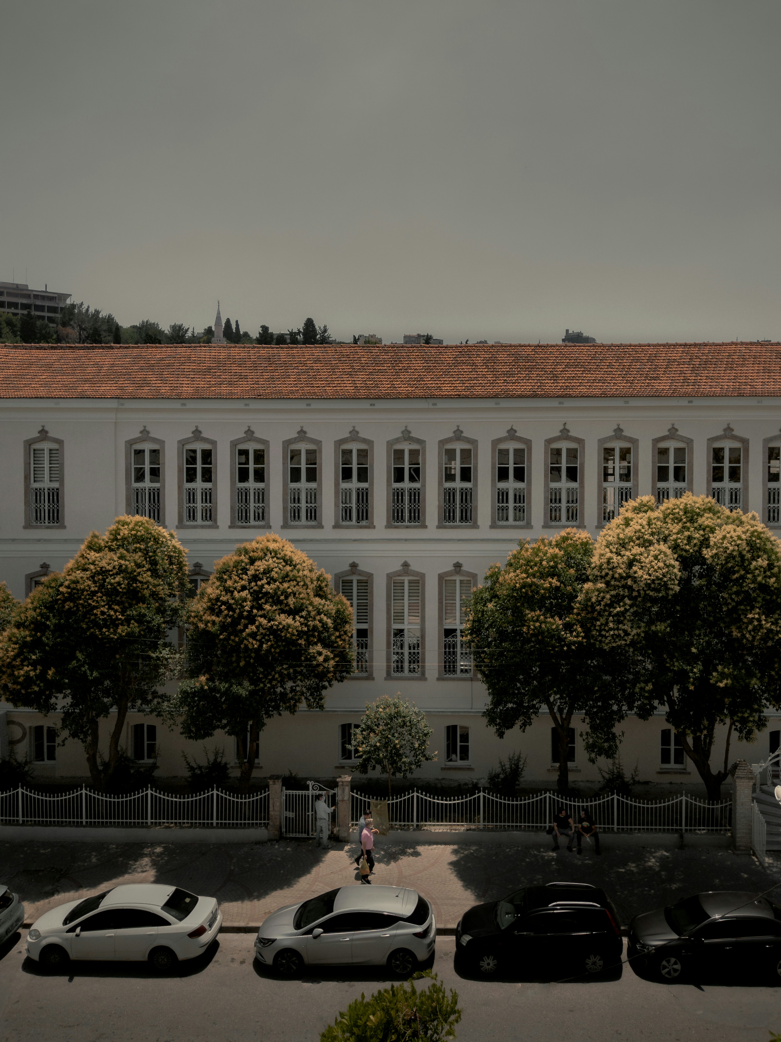Historic building framed by lush trees and parked cars, showcasing a blend of urban life and nature's beauty.