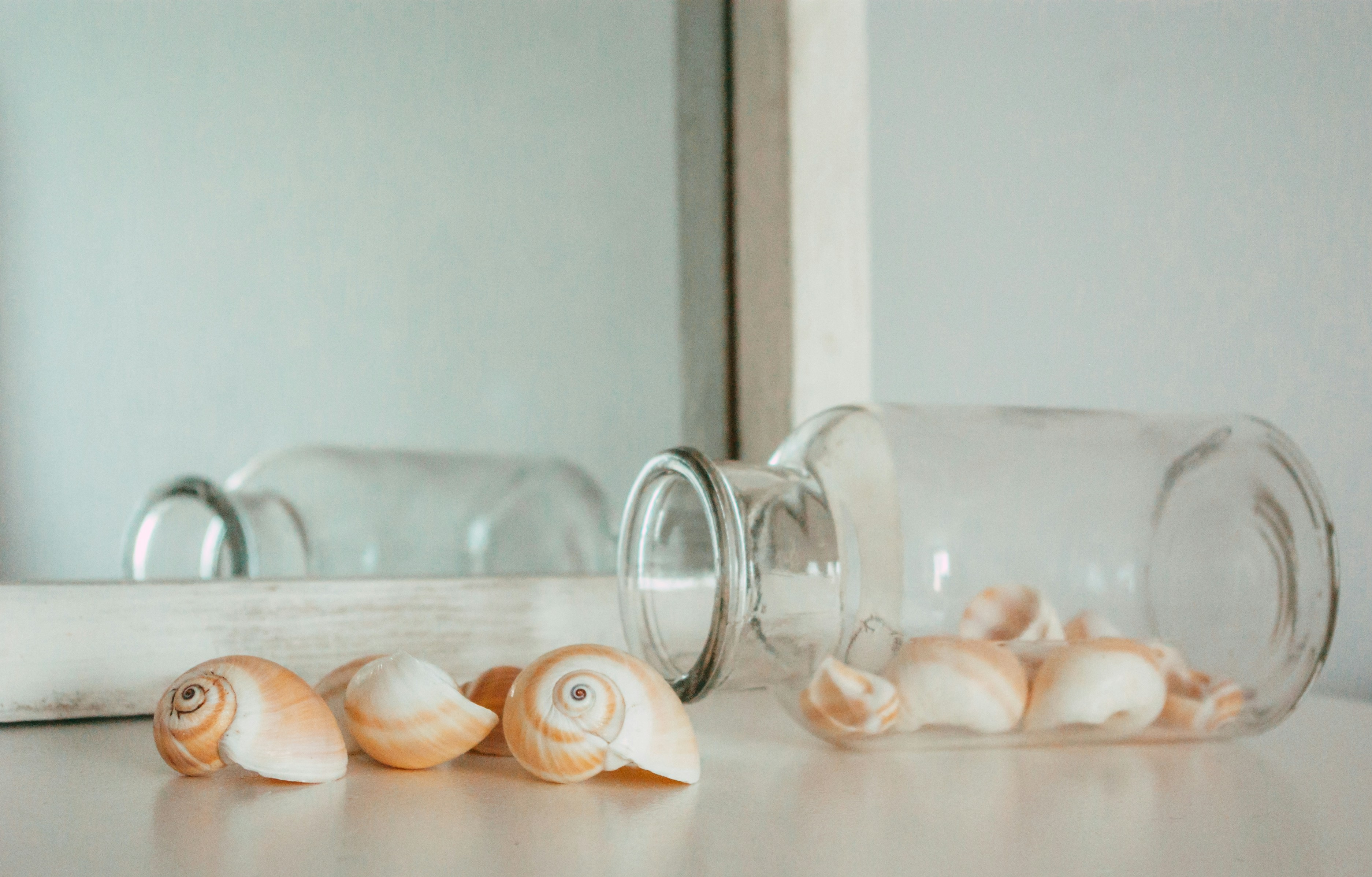 A collection of seashells rests beside a tipped glass jar on a wooden surface, reflecting a serene atmosphere. The soft colors and textures evoke a coastal vibe.
