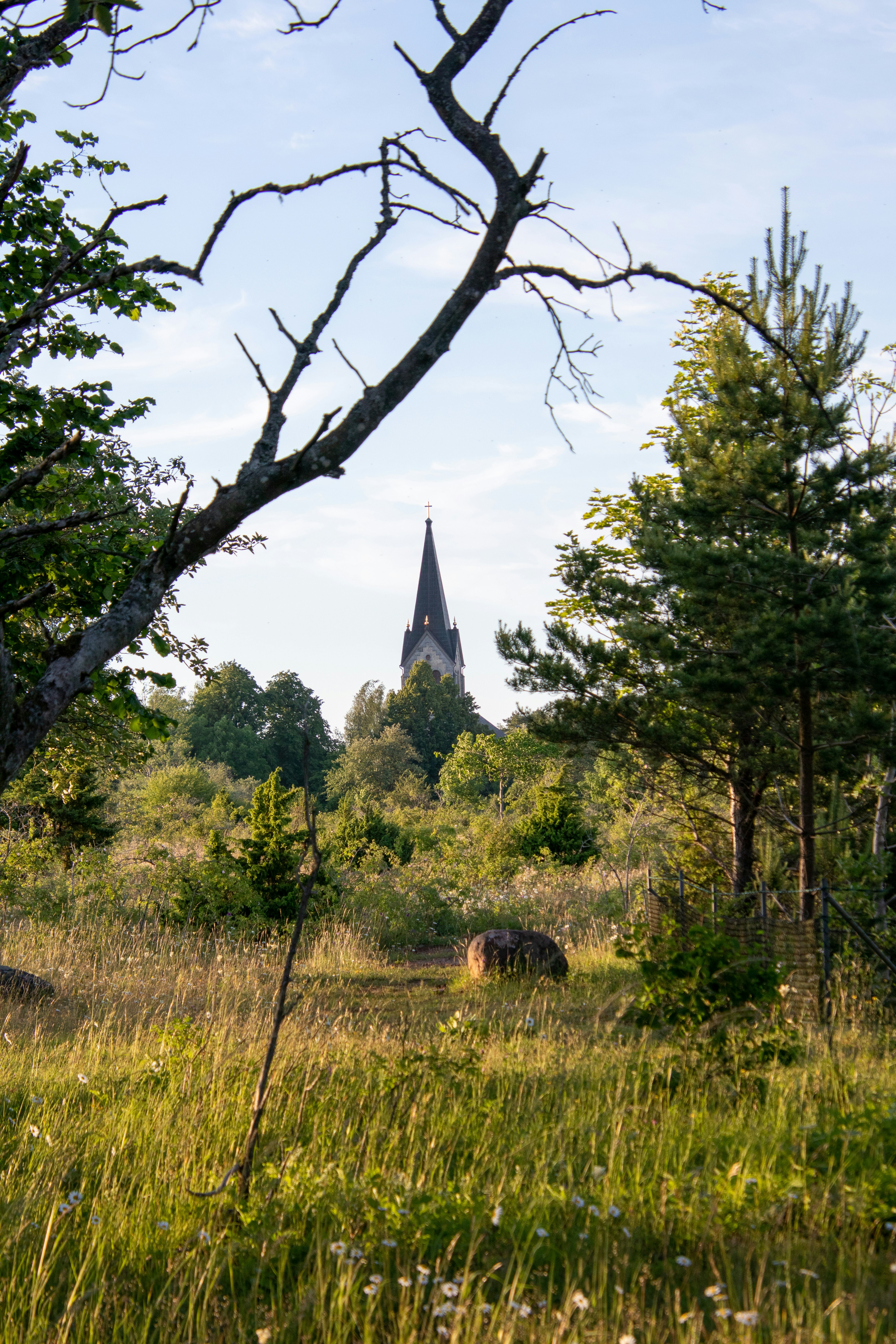 Framed Spire: Dawn Light Over a Meadowed Village