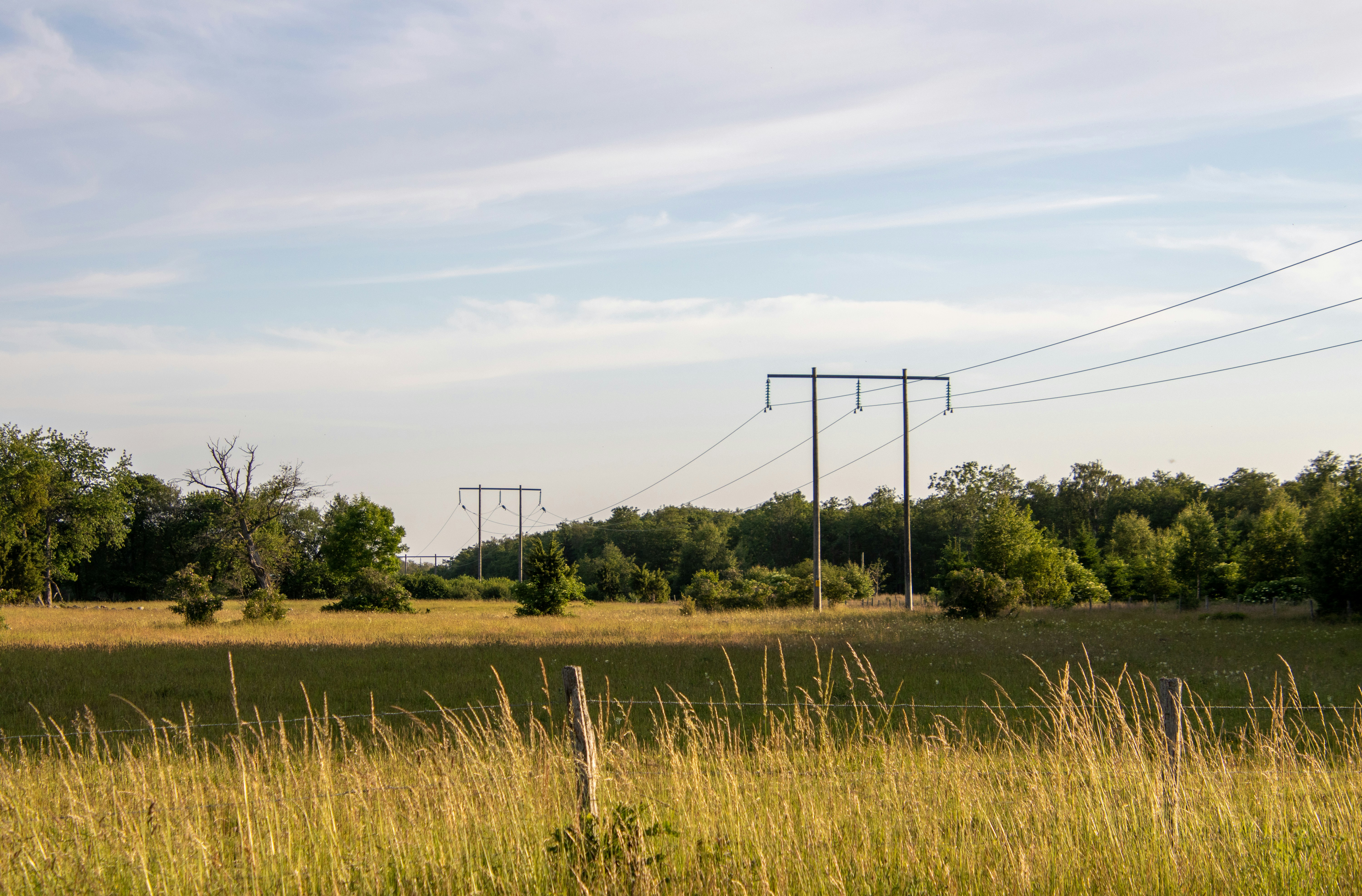 Prairie Lines: A Quiet Dialogue Between Field and Sky