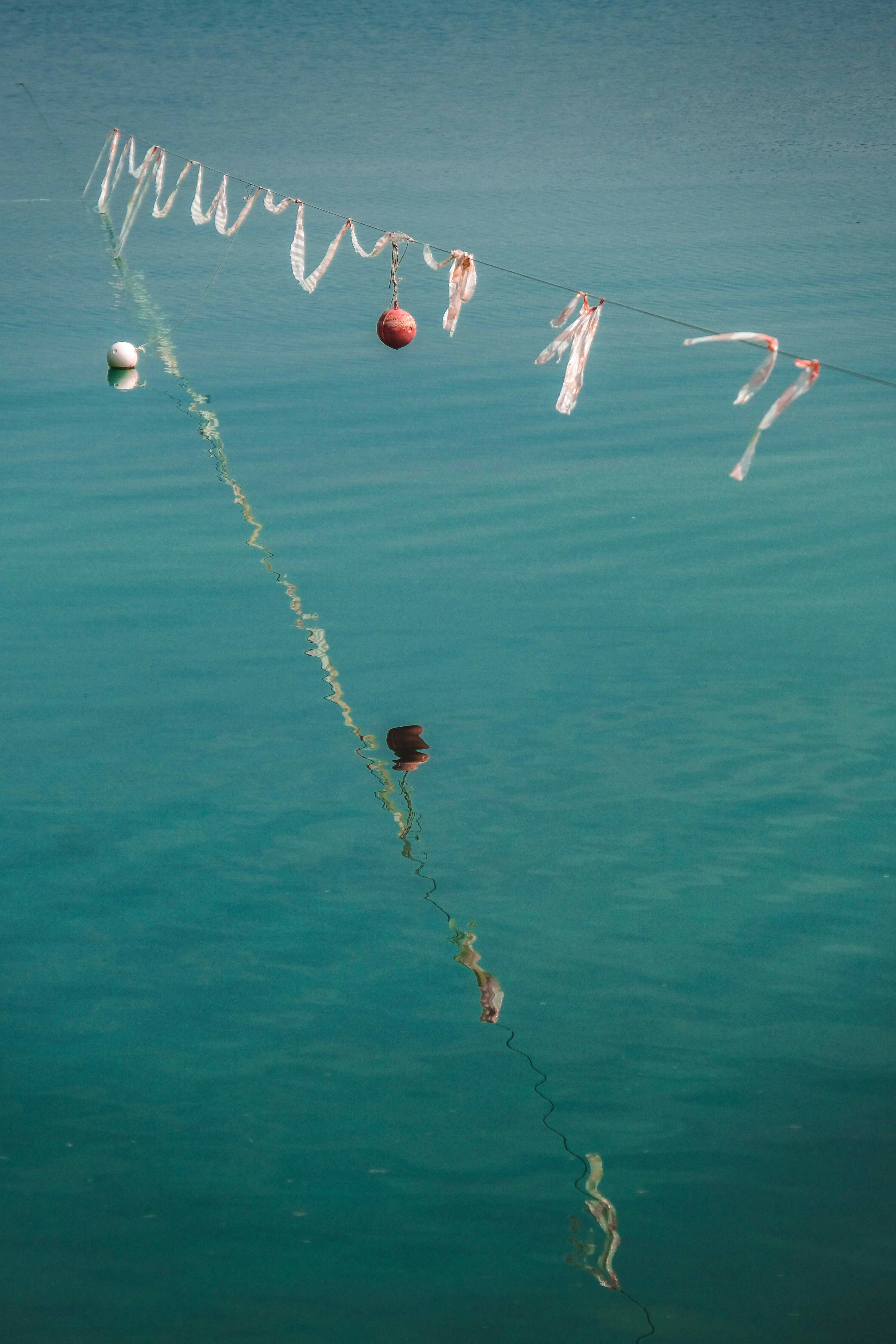 red and white balloons on green water