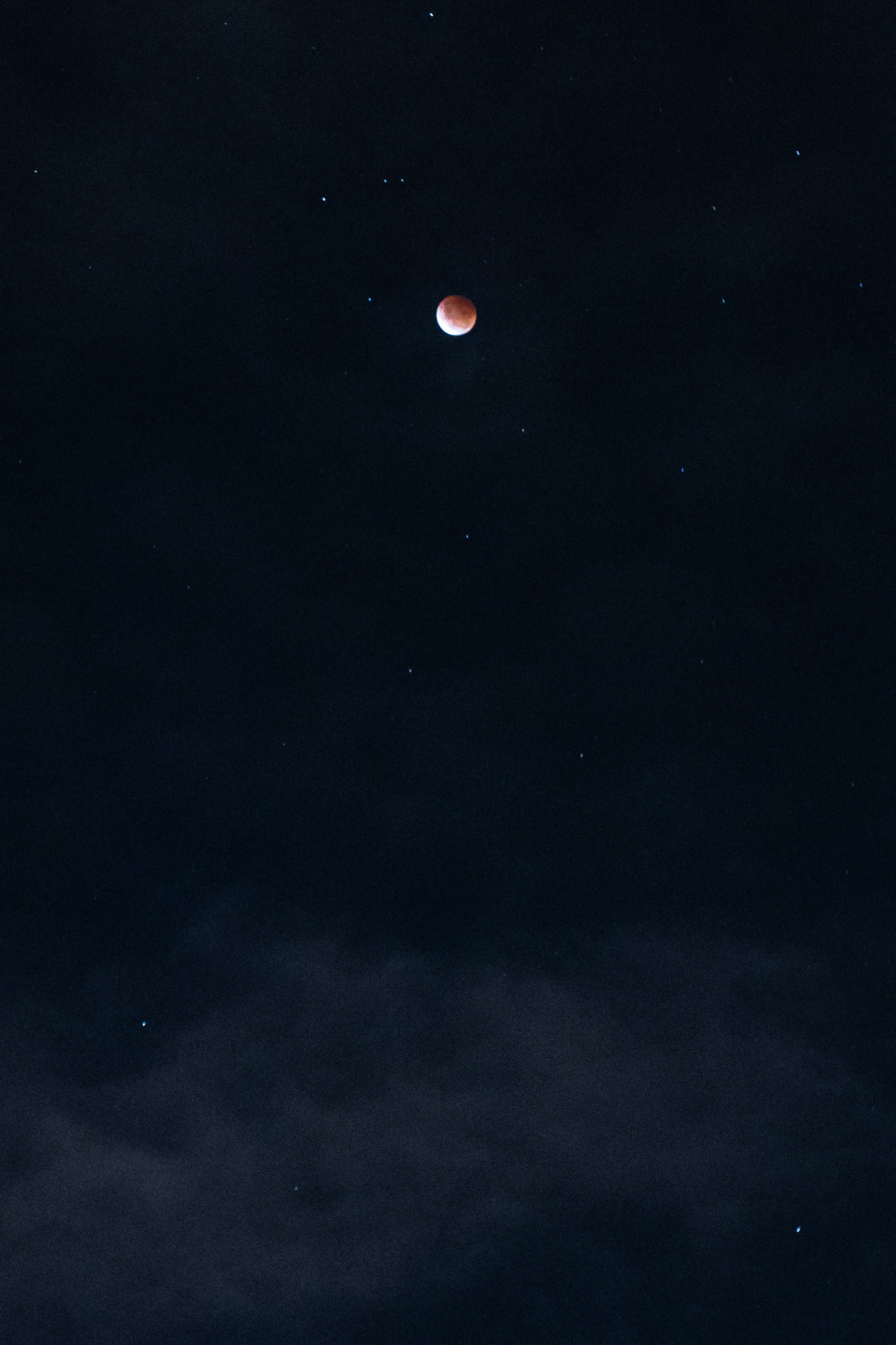 Natalie Parham (@natalieparham) | Unsplash Photo Community