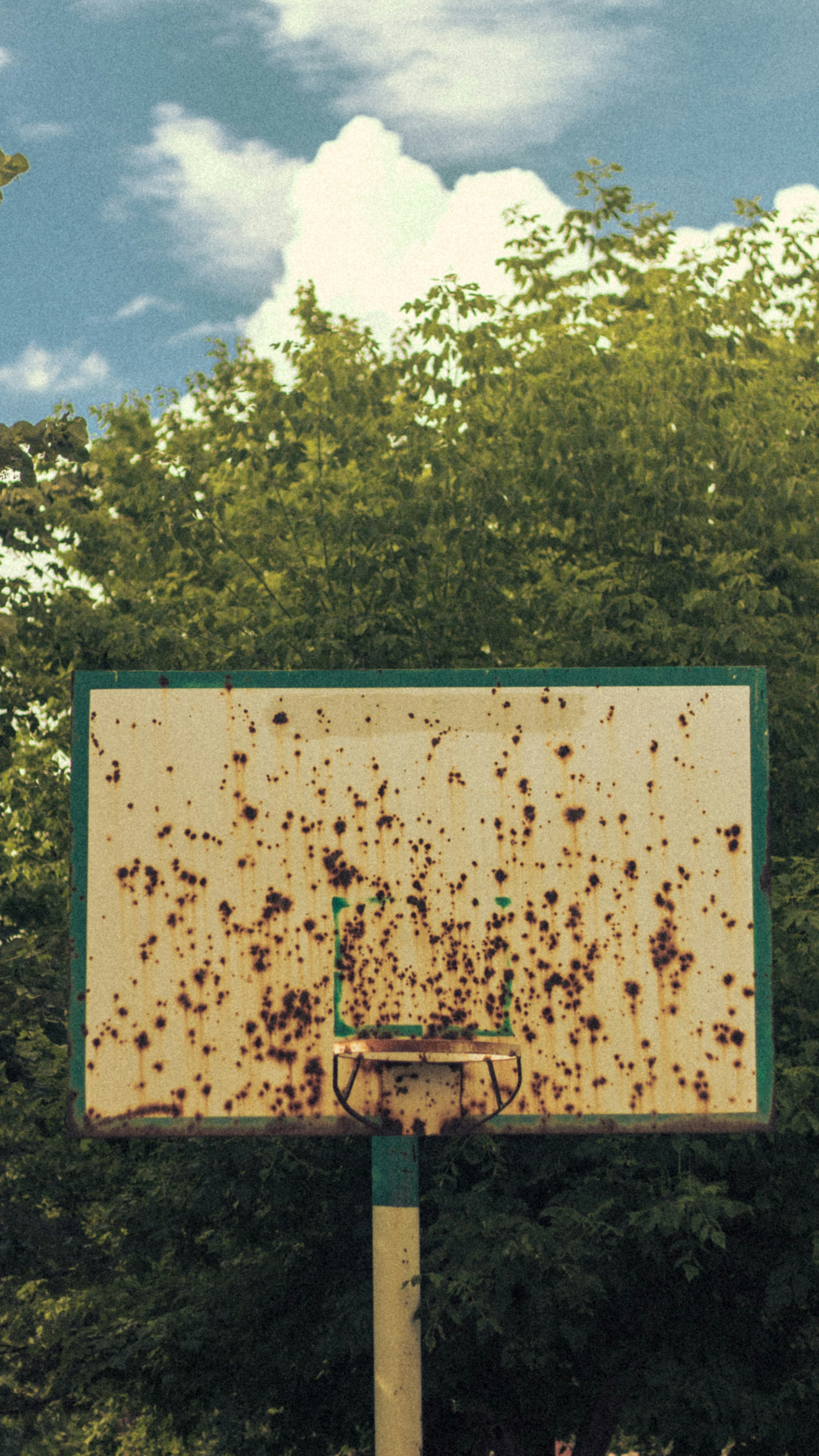 Rust-Bitten Backboard Beneath a Verdant Canopy