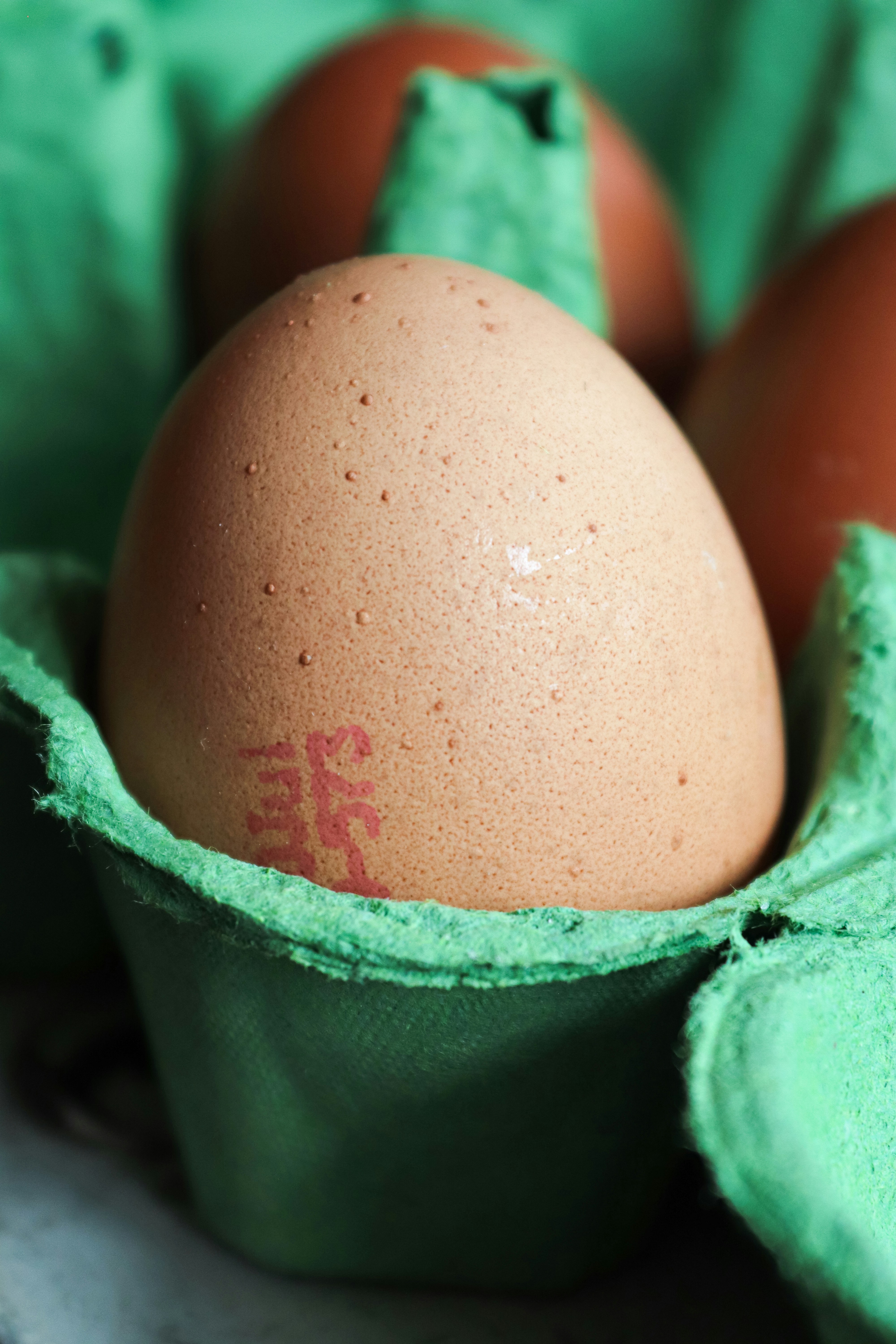 Centered Egg in a Mint Carton: A Quiet Macro Moment