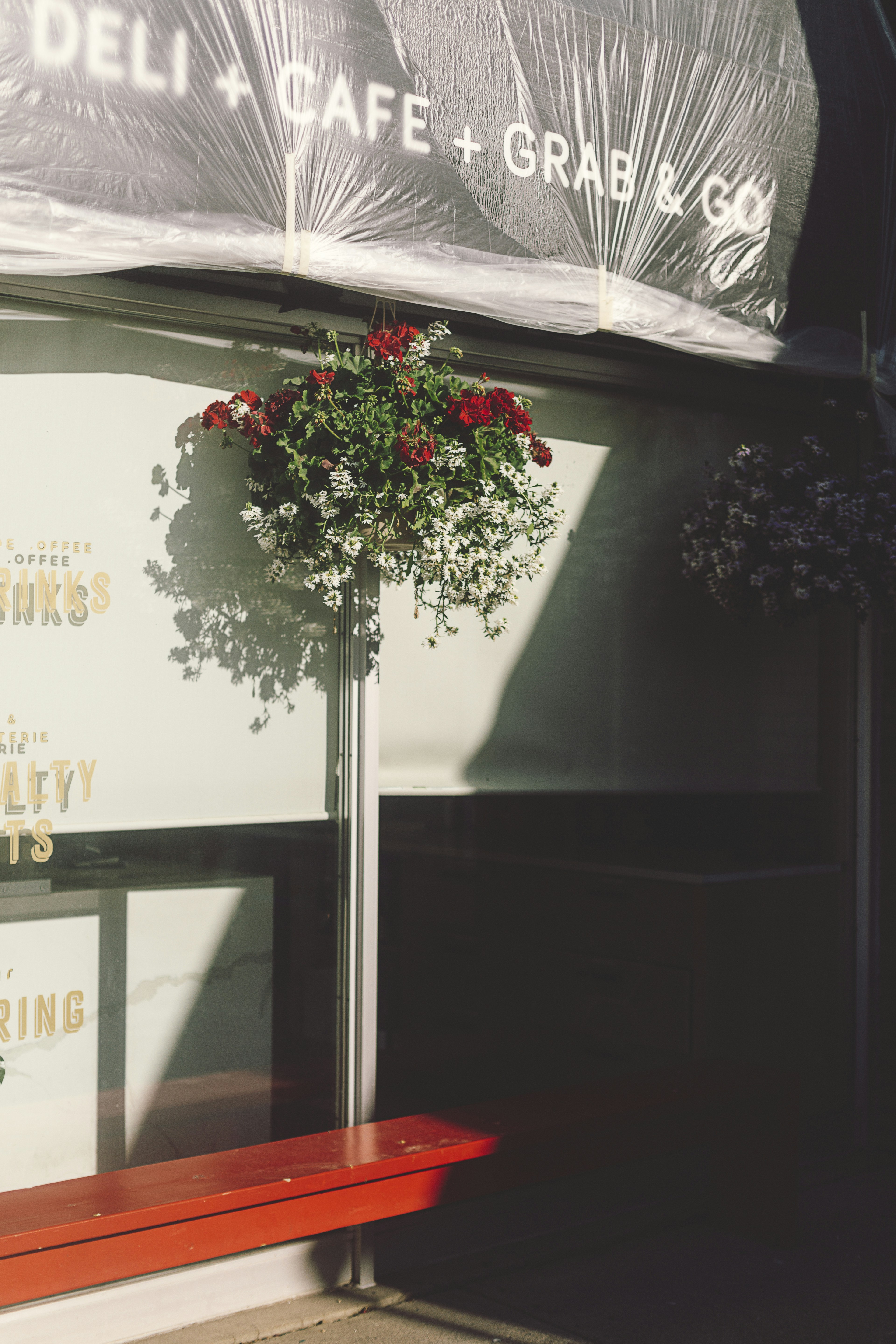 Red Blooms Framing a Quiet Deli Entrance