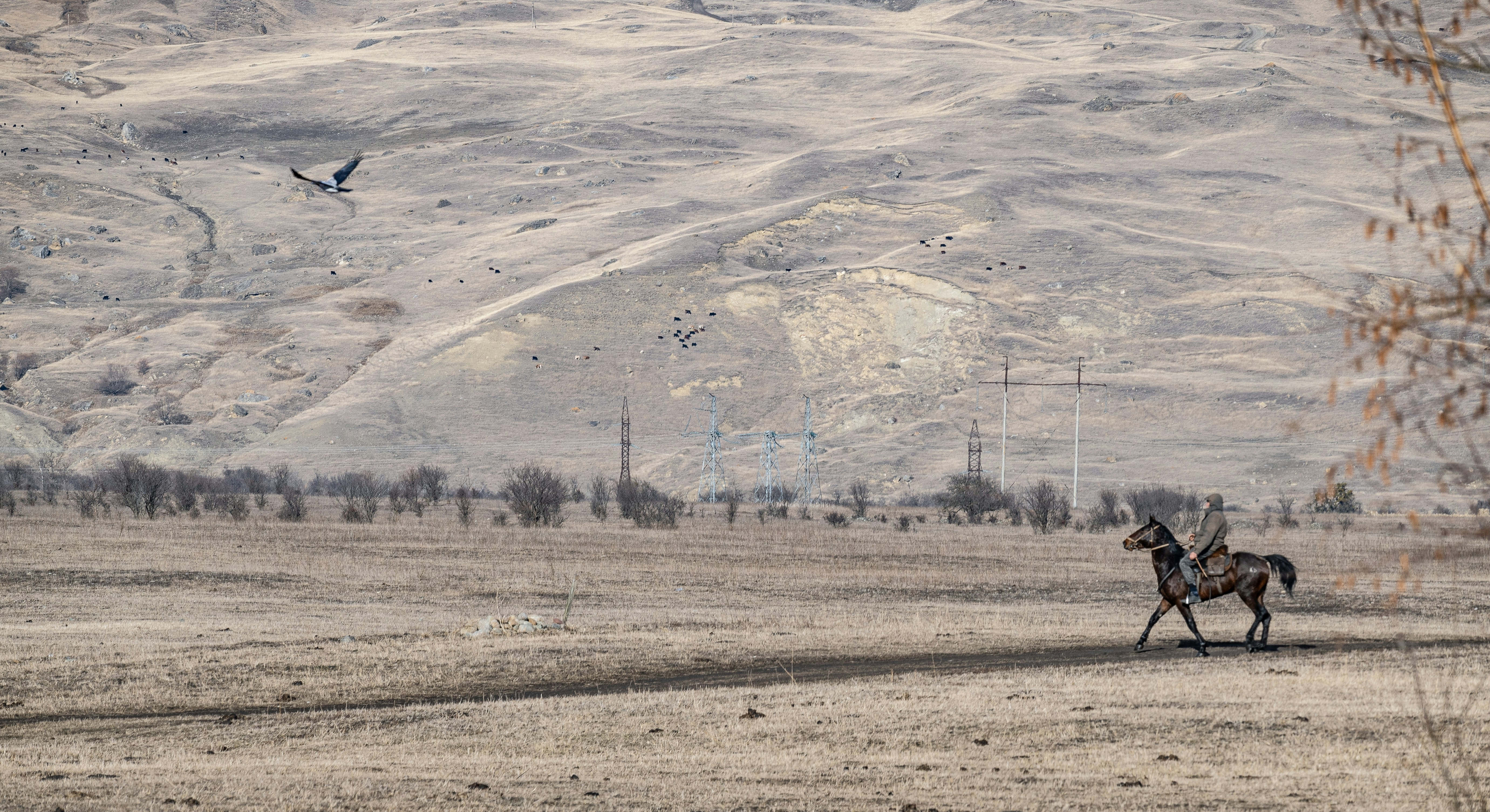 Lone Horseman on a Quiet Plain Beneath a Distant Range