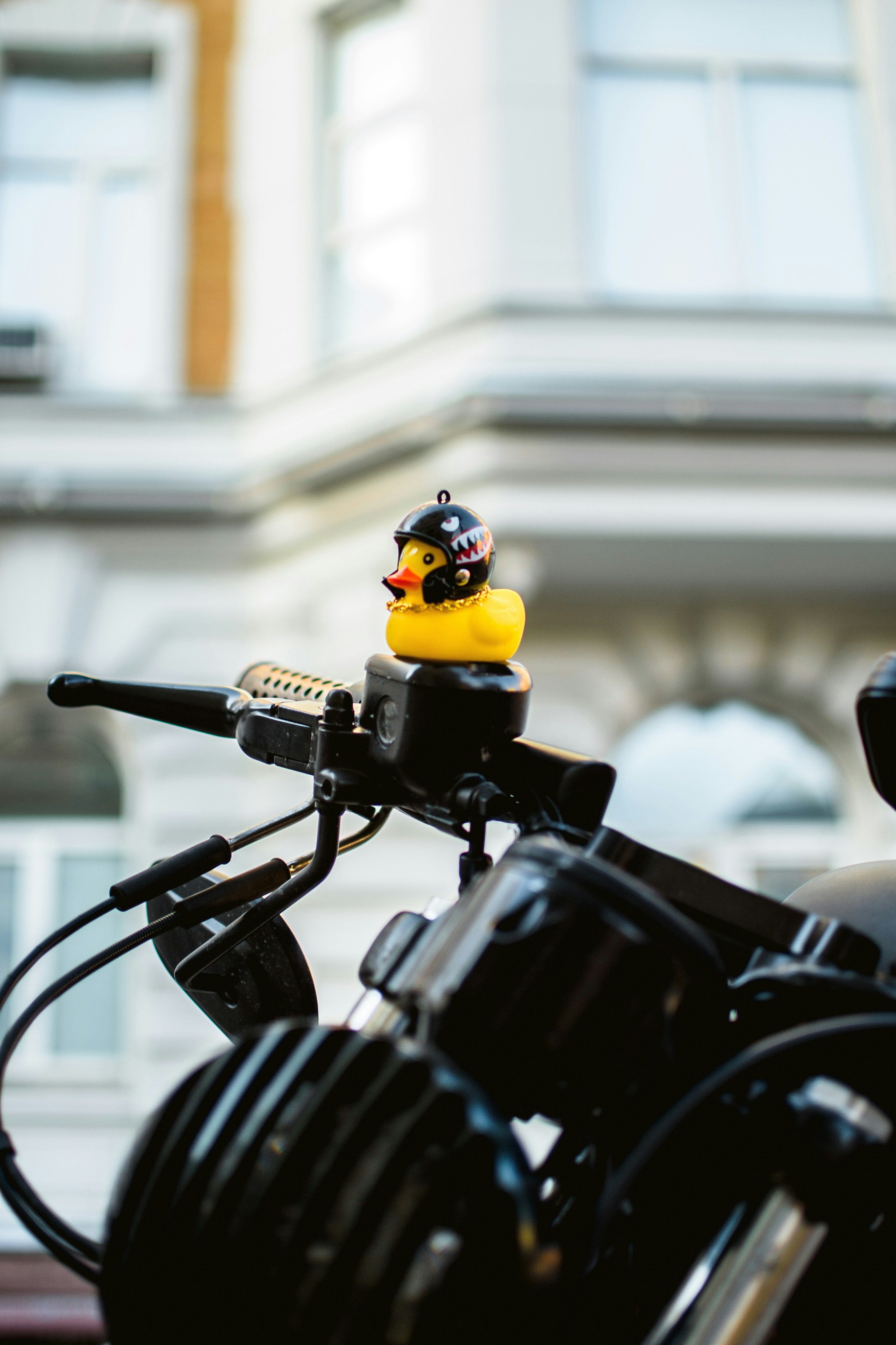 City Street Sentinel: The Rubber Duck on the Motorcycle