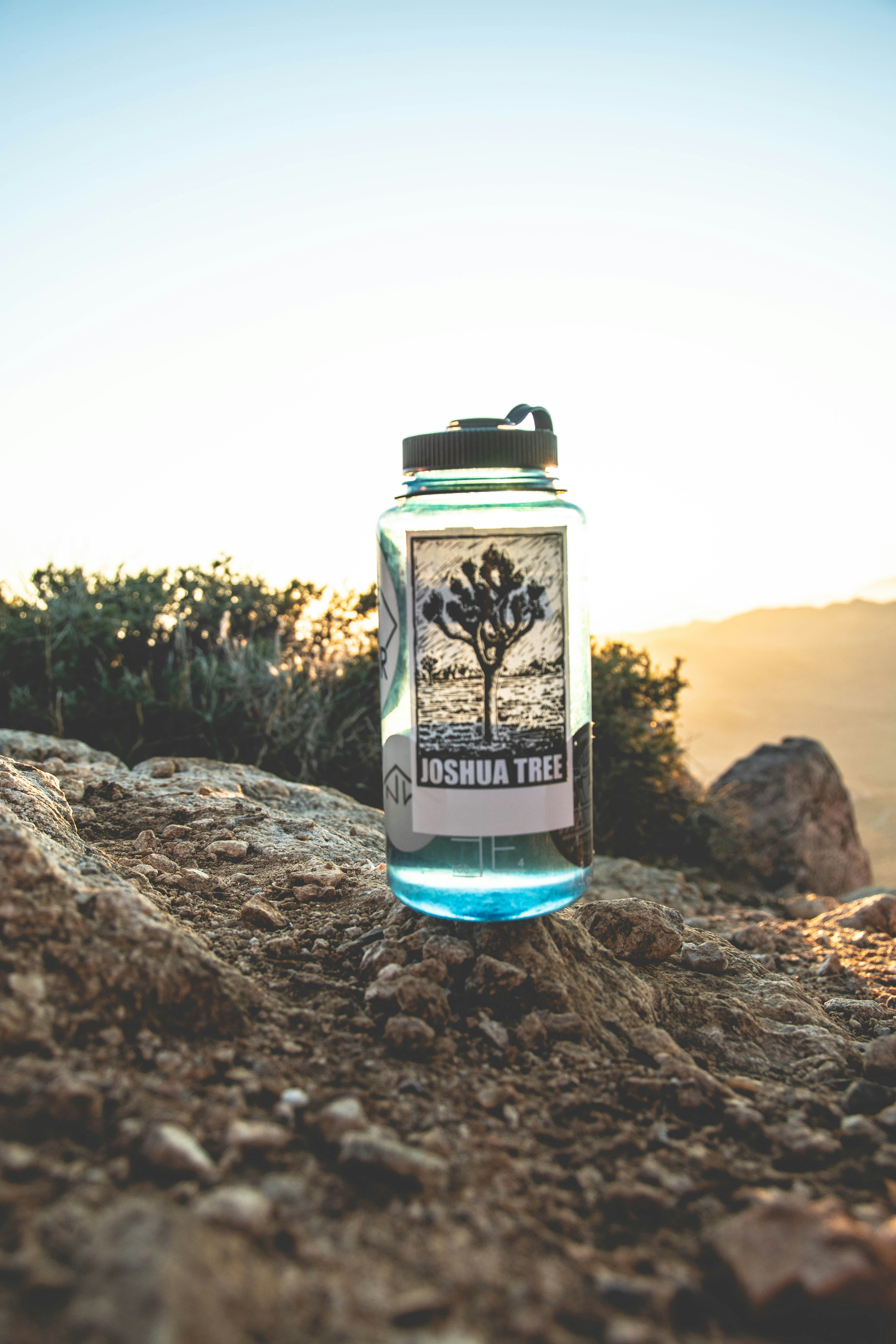 Blue Bottle on a Desert Overlook: Joshua Tree Label at Golden Hour