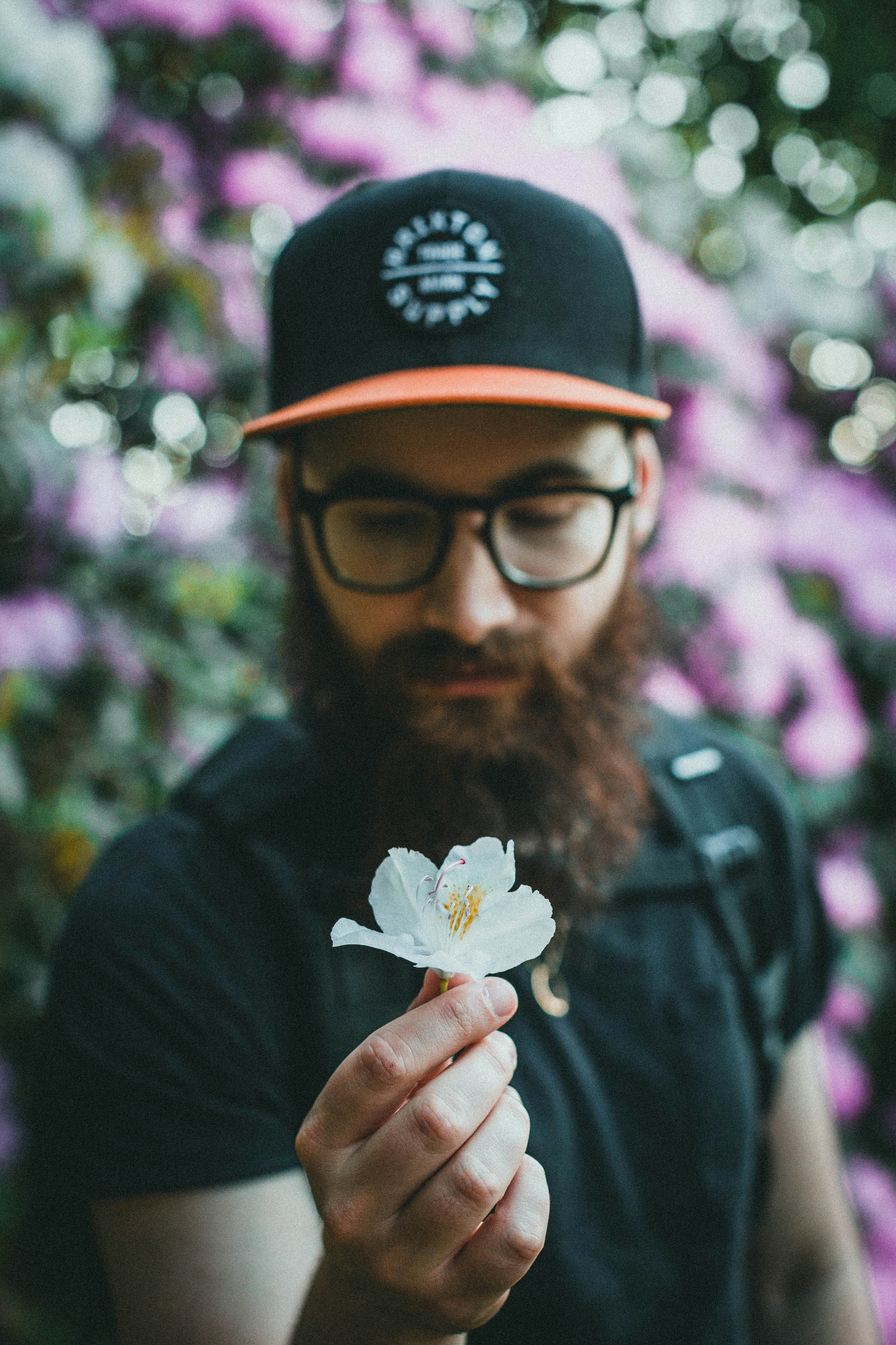White Petal, Soft Focus: A Quiet Portrait Among Purple Blooms