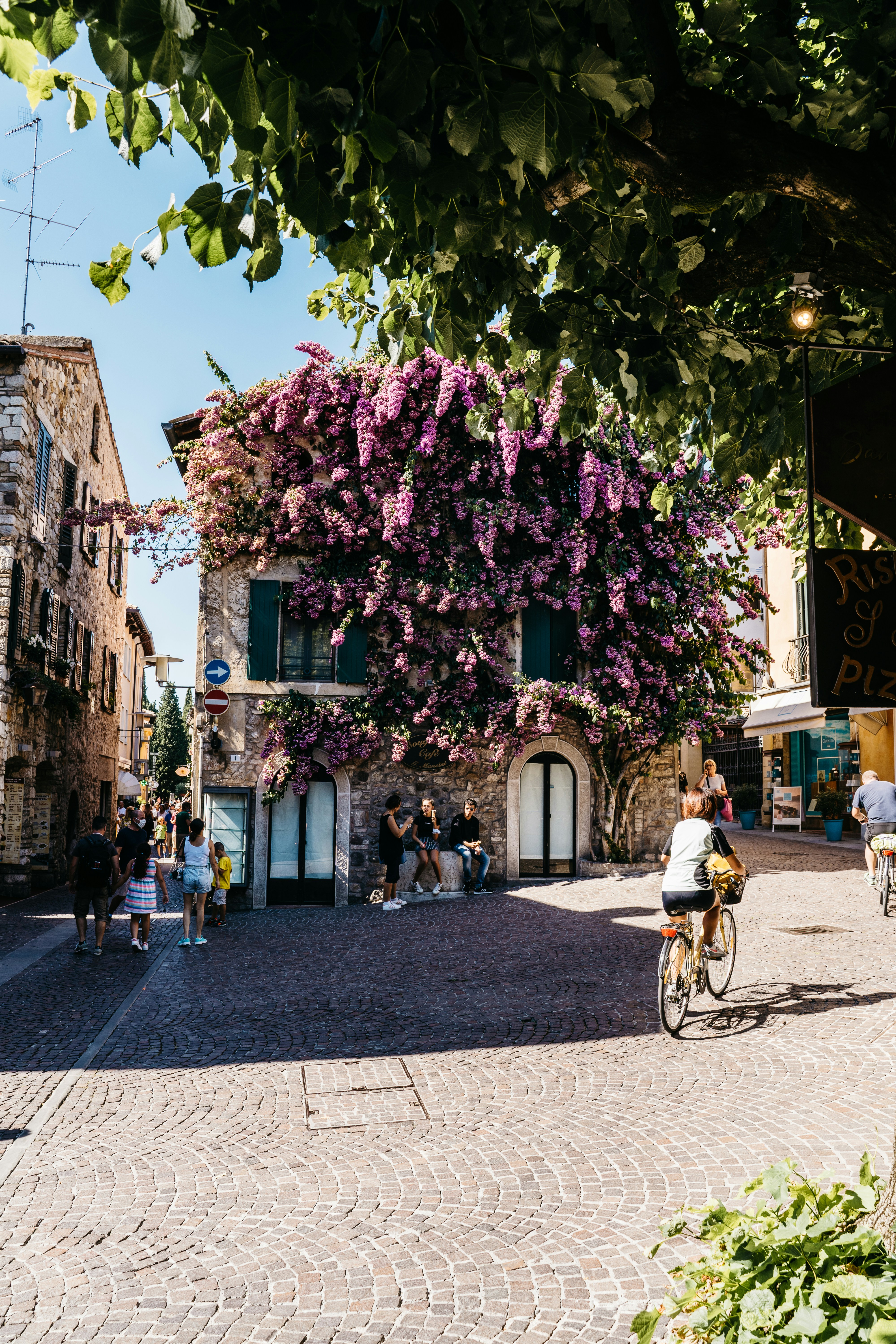 Quaint street scene in an Italian village featuring a vibrant tree adorned with purple flowers, surrounded by pedestrians and a cyclist. The charming architecture adds to the rustic atmosphere.