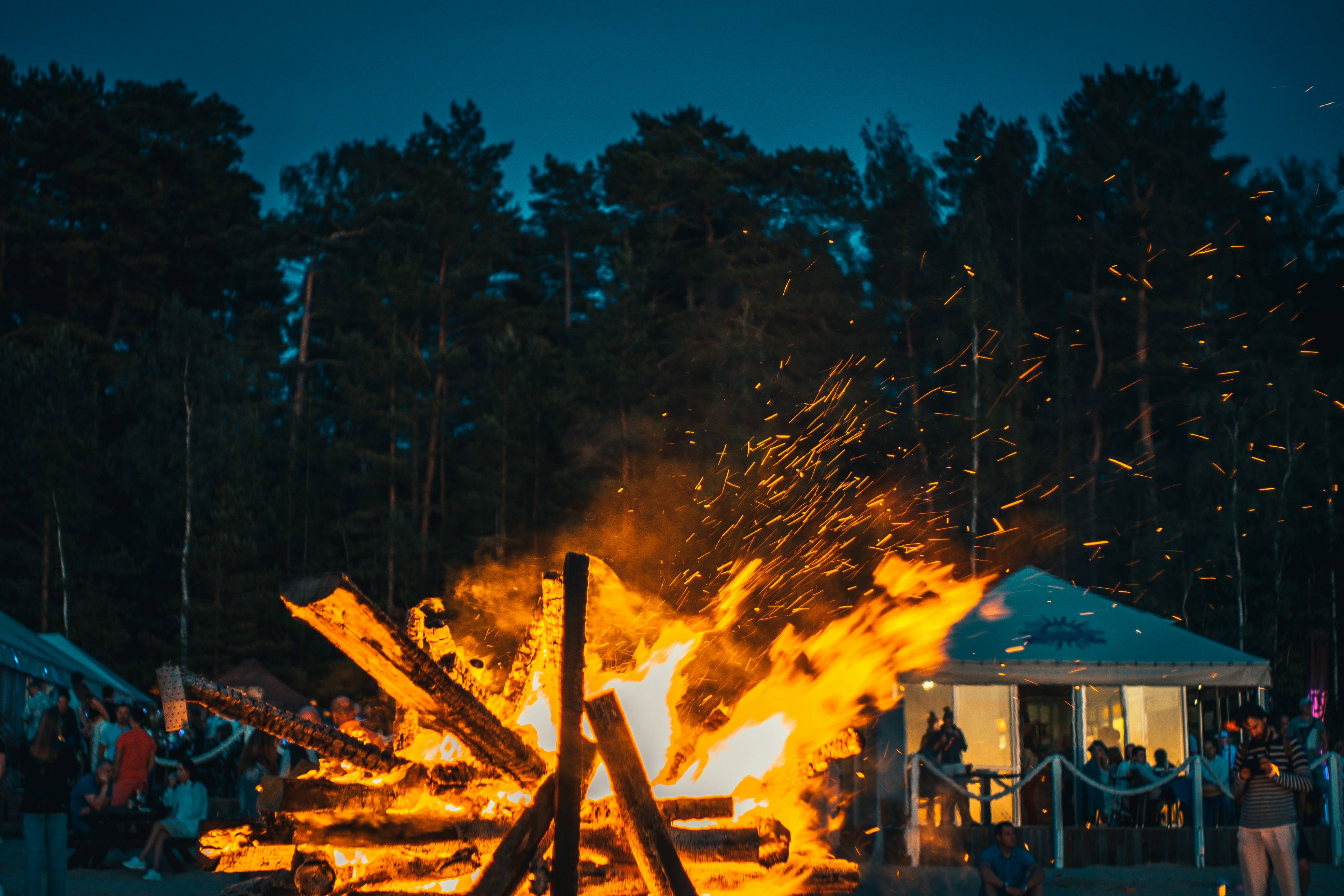 Pines, People, and Sparks: A Campfire Evening by the Campsite
