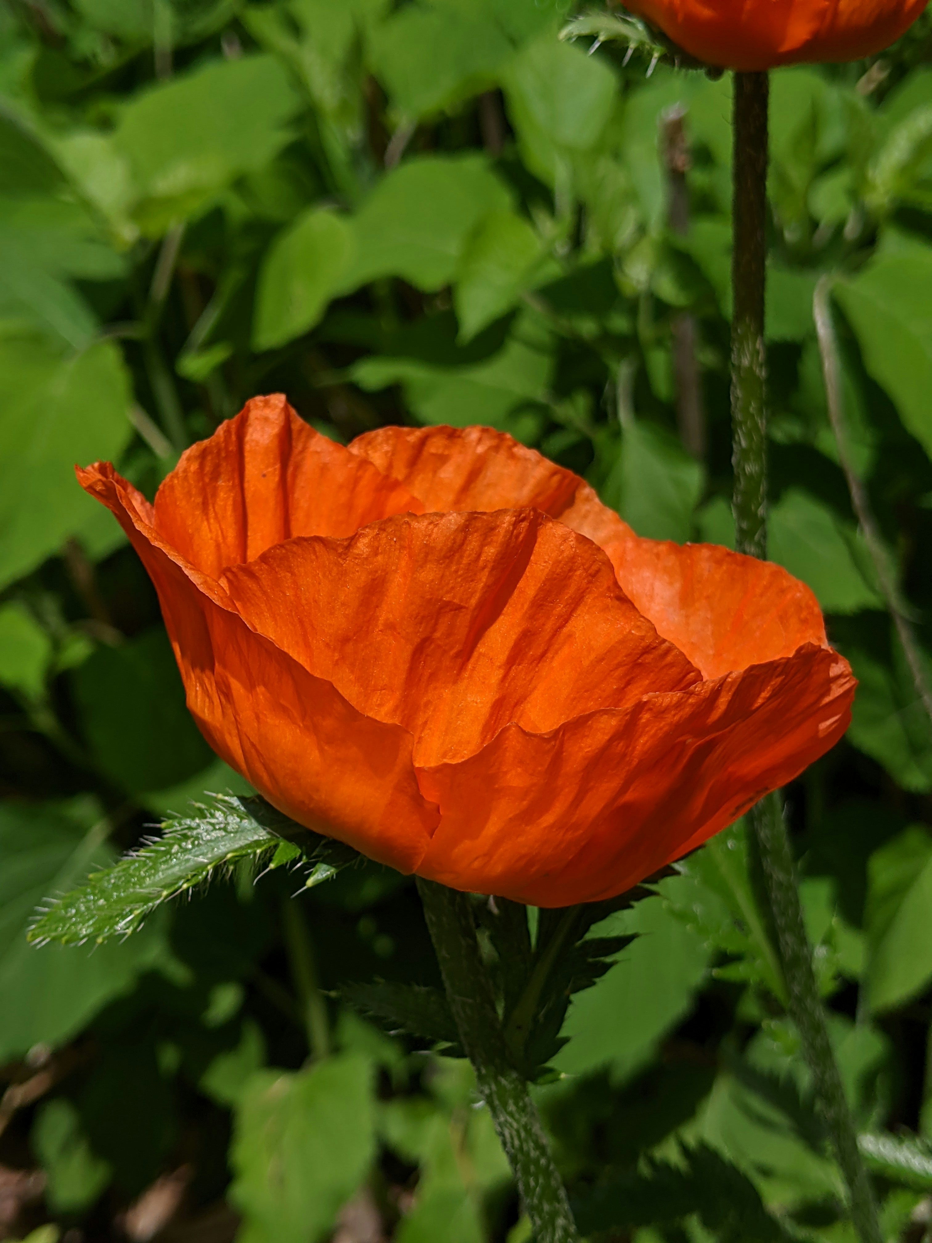 Susan Jones (@florian_jack_designs) | Unsplash 사진 커뮤니티