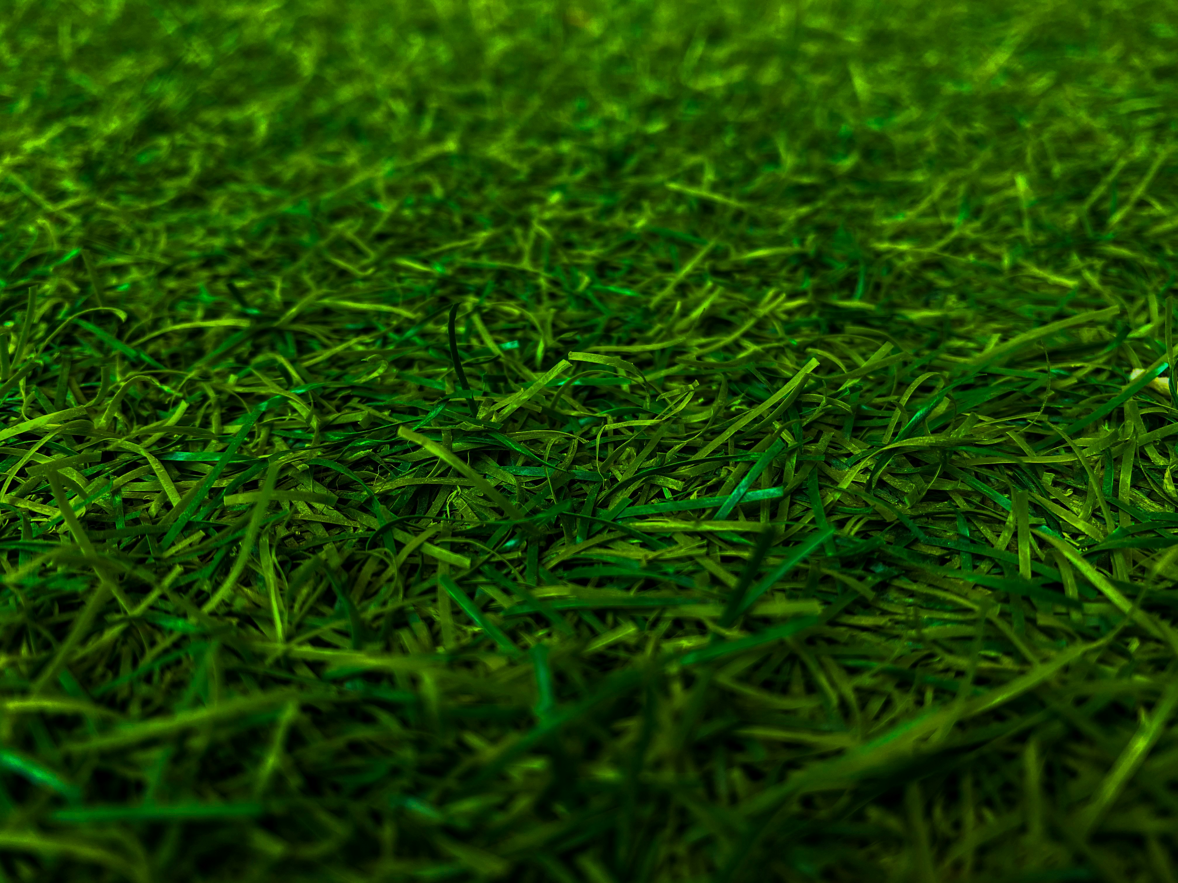 Lush green grass blades interwoven in a dense pattern, showcasing the vibrant hues of nature. The focus highlights the intricate textures of the grass.