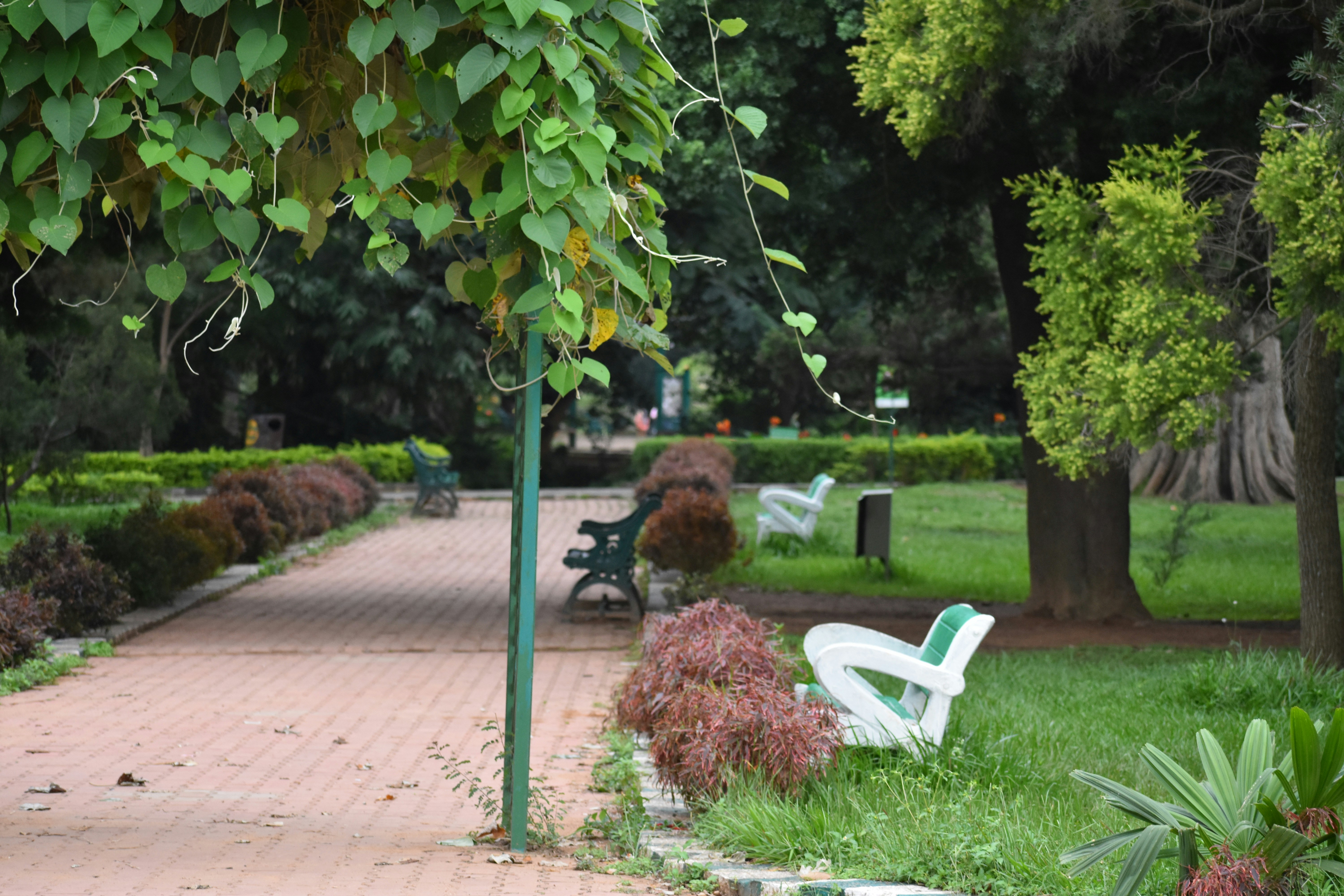 Cleanliness Pictures | Download Free Images on Unsplash