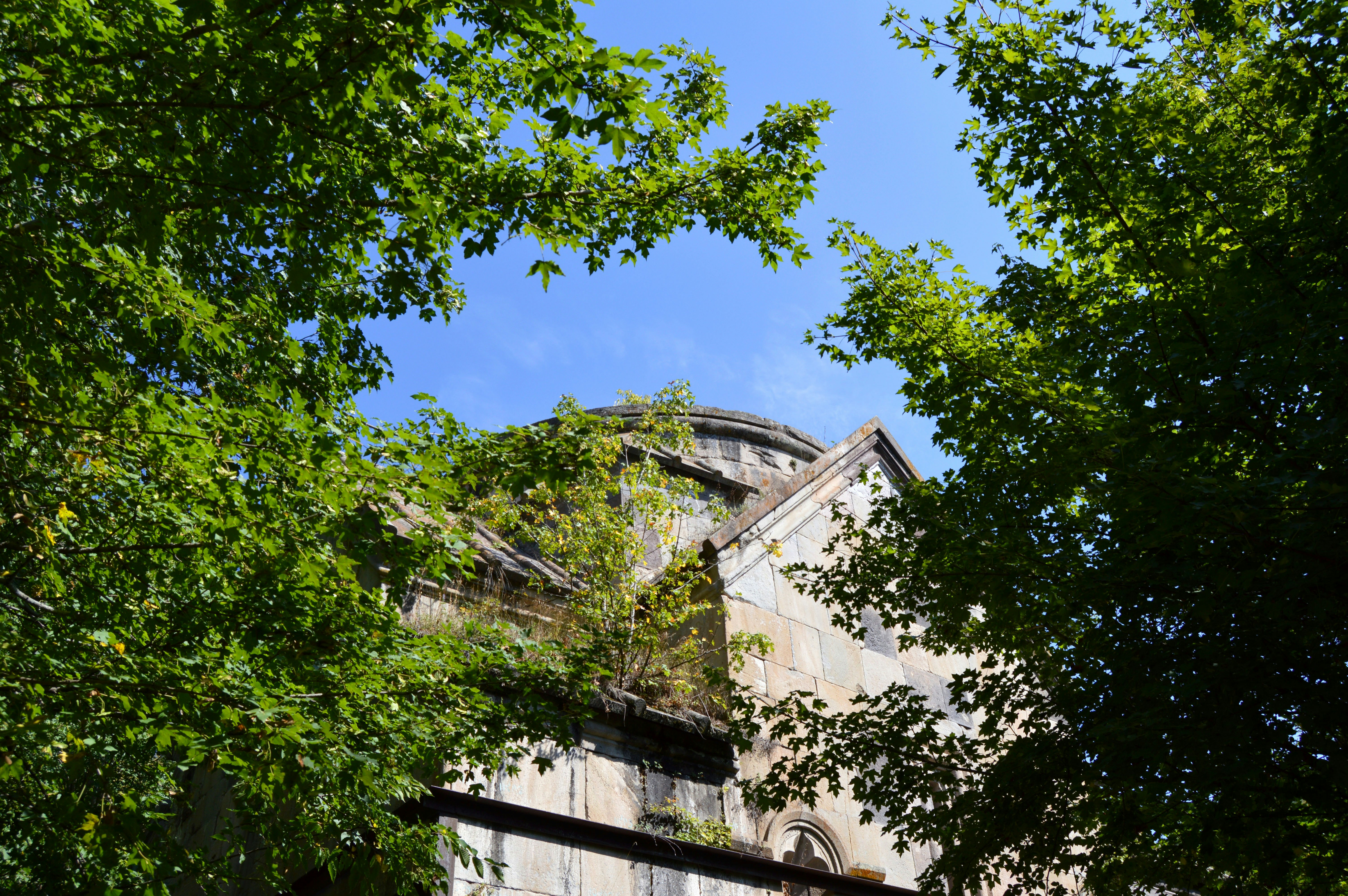 Historic building partially obscured by lush green foliage under a clear blue sky.