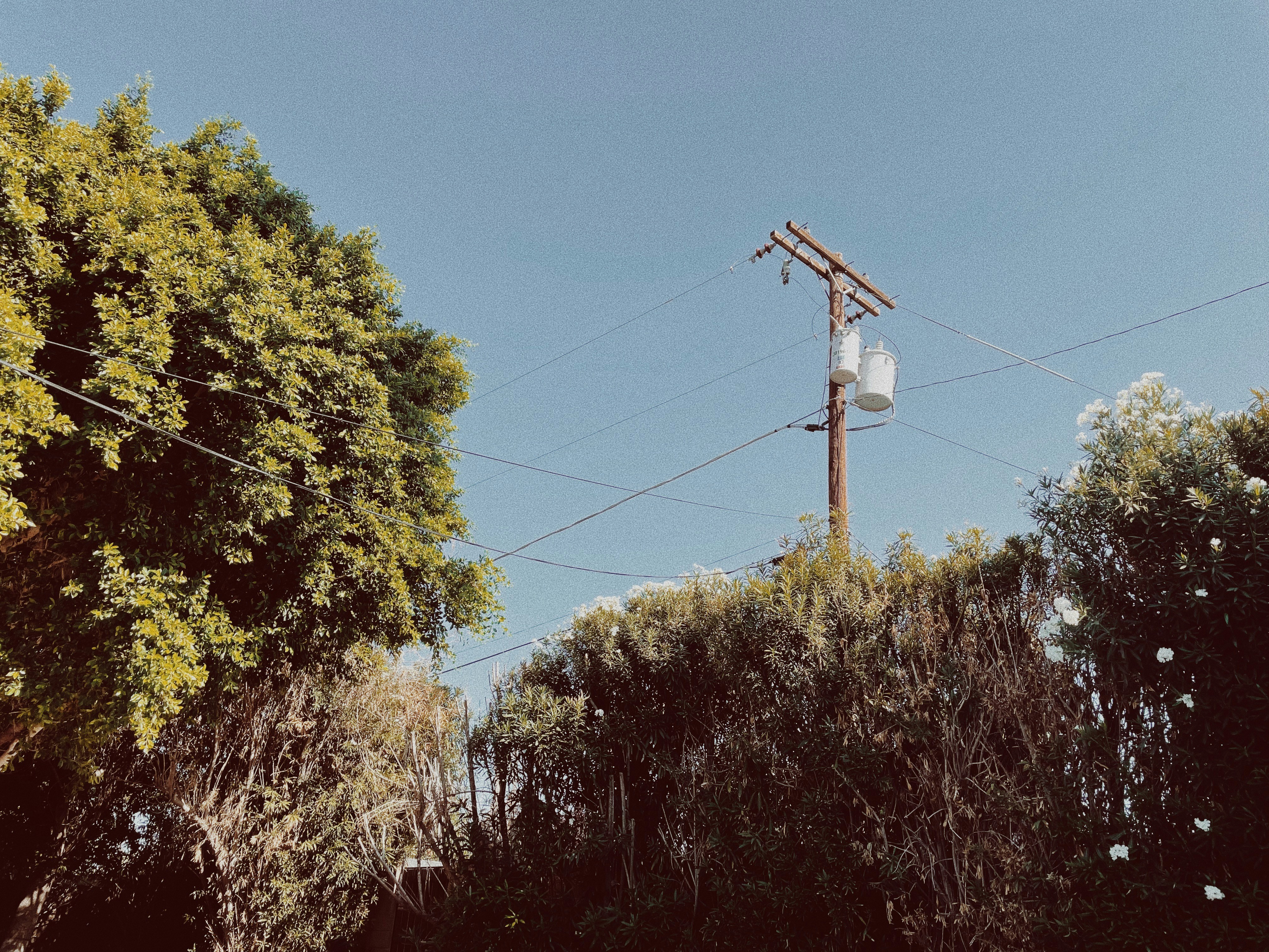 white electric post near green trees under blue sky during daytime