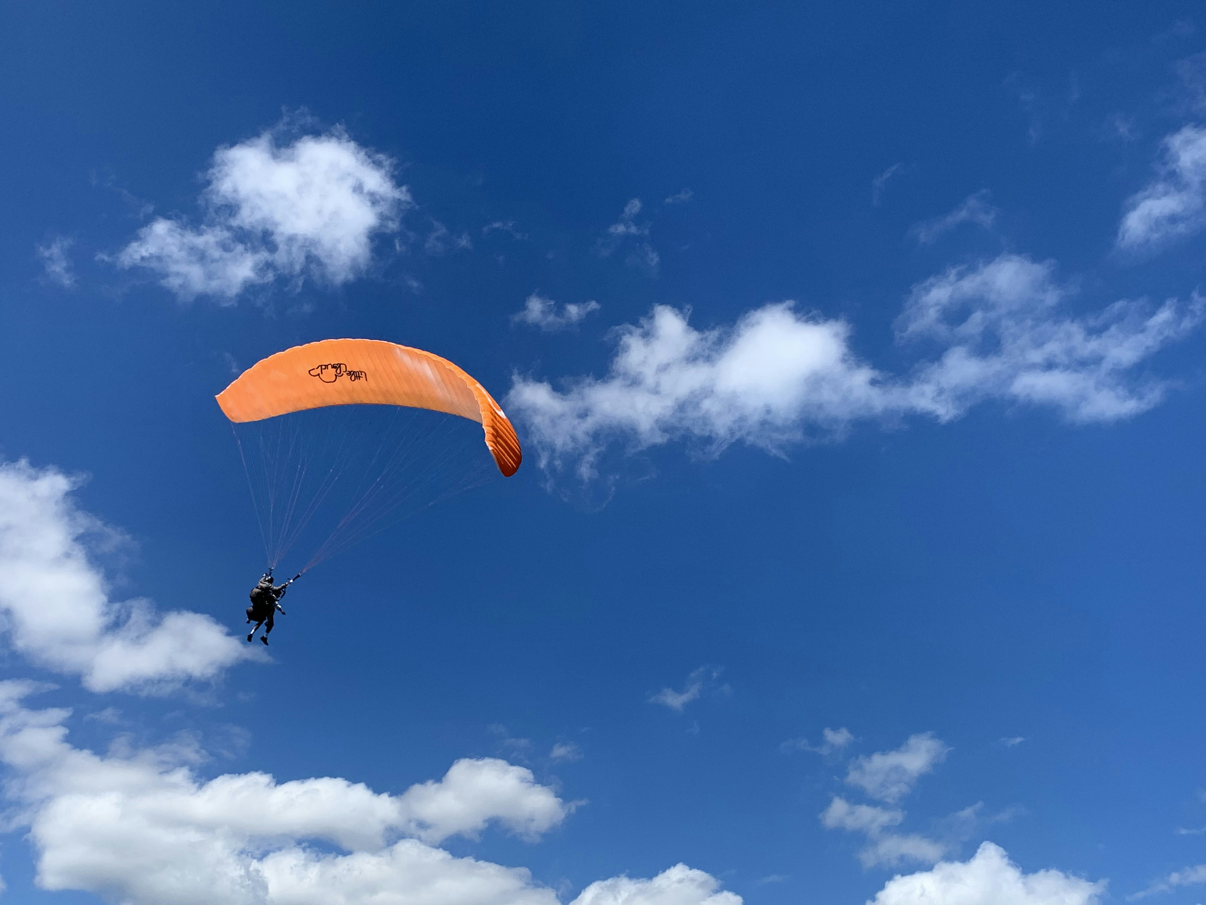 Cassandra Powell (@cassandra_ong_79) | Comunidade de fotos da Unsplash