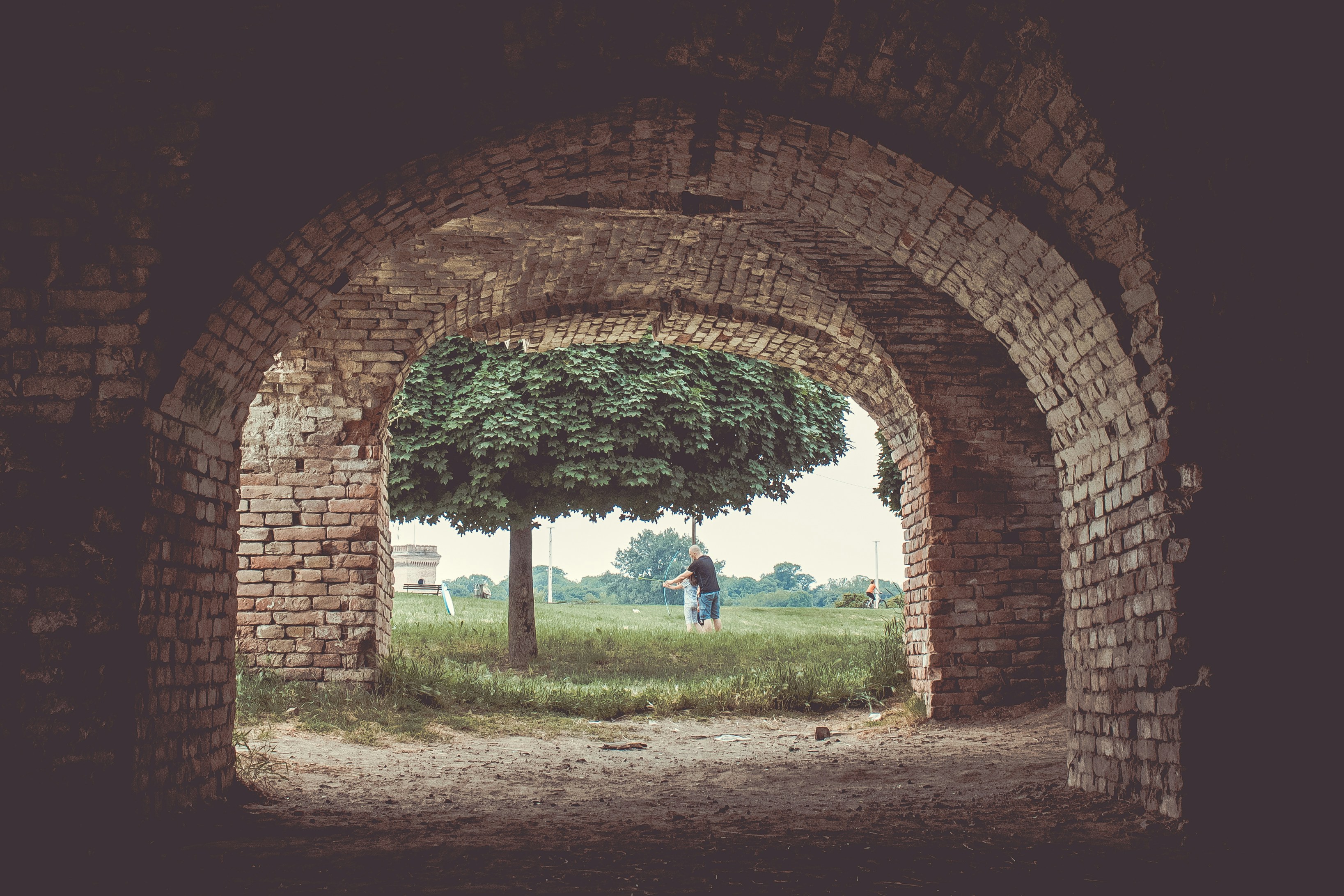 Light at the Passage: silhouette by the Green Field