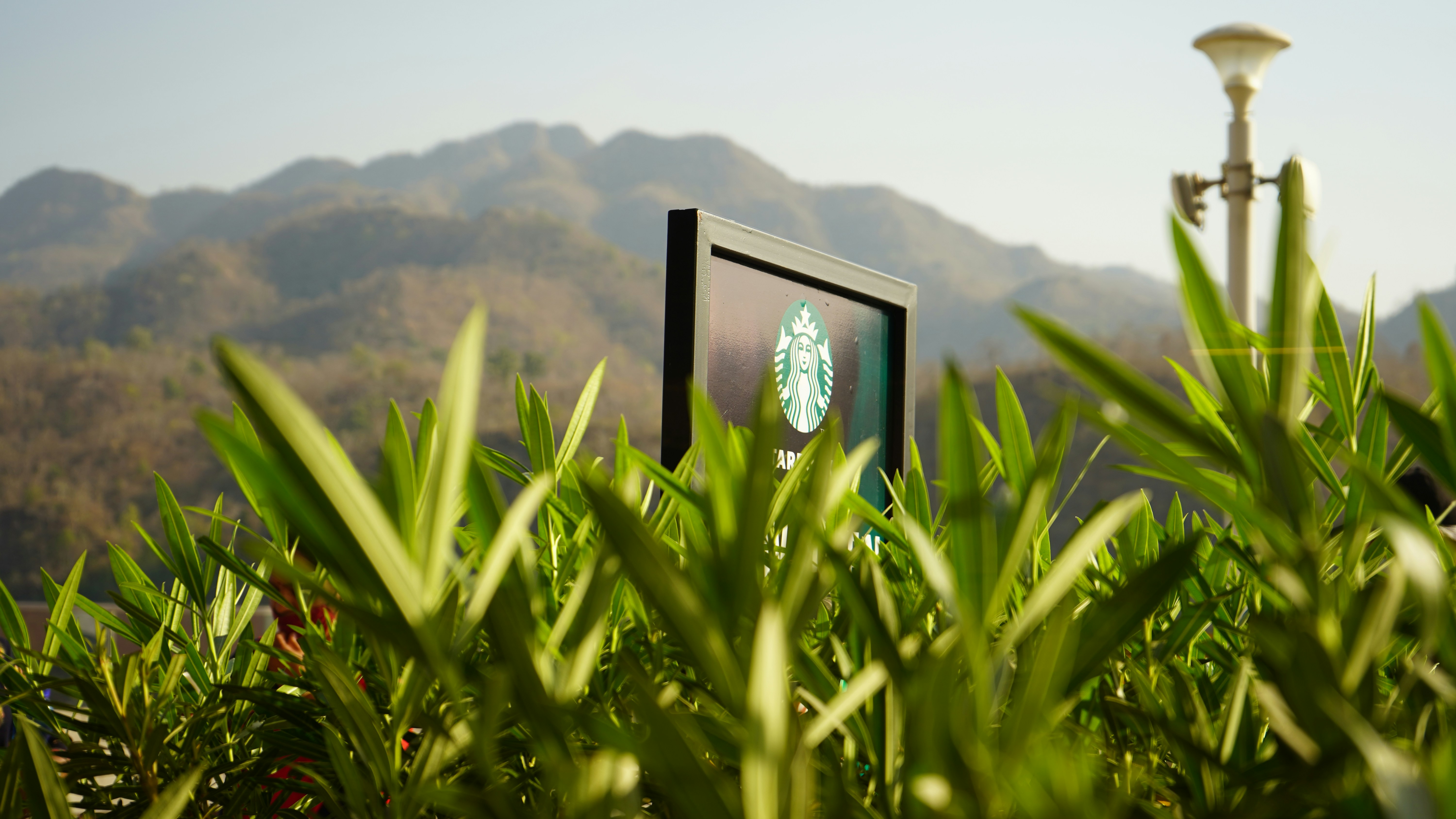 Starbucks logo partially obscured by lush greenery with distant mountains in the background. The scene captures a tranquil coffee spot surrounded by nature.