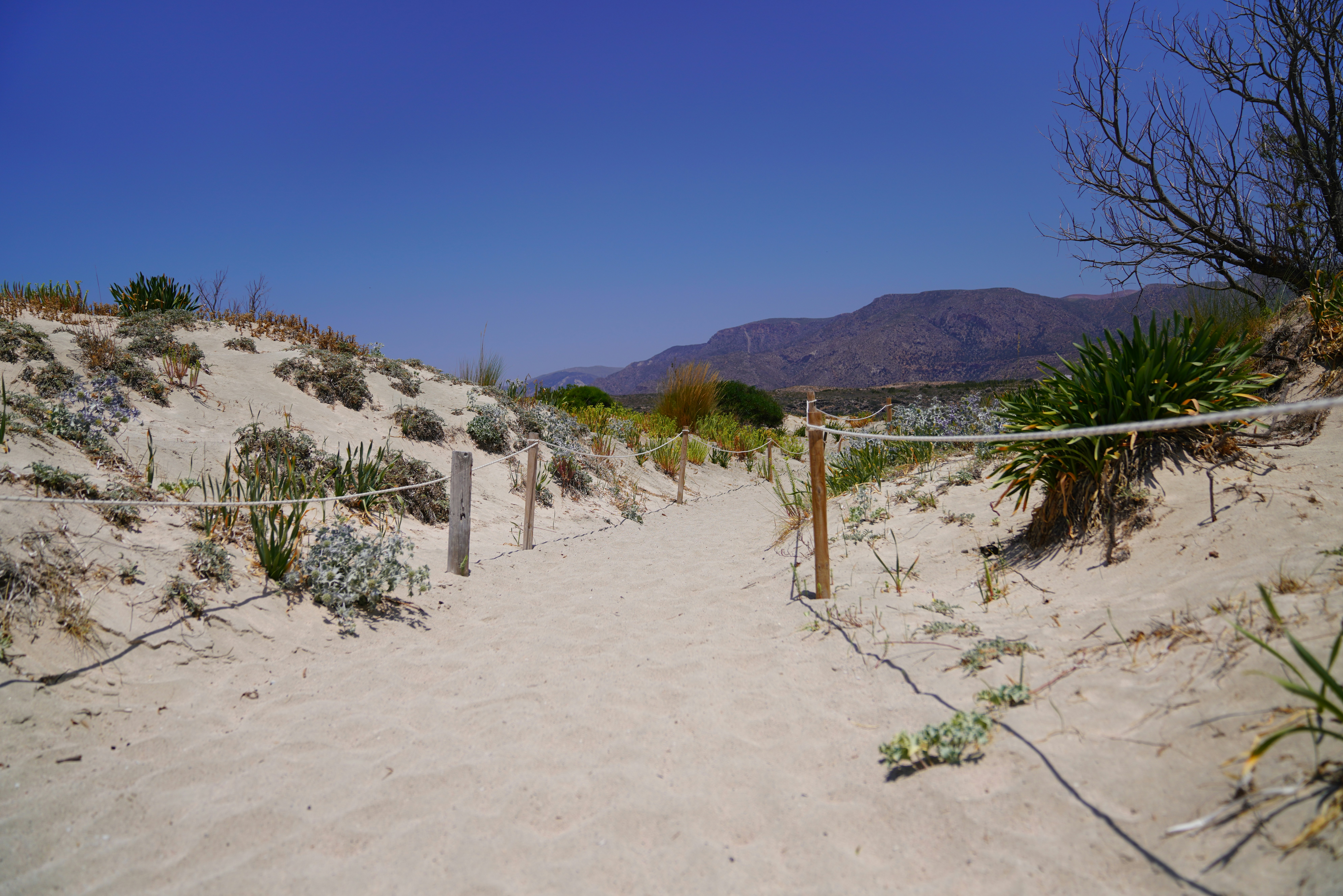 Rope-Outlined Path Through Sunlit Dunes Toward Distant Peaks