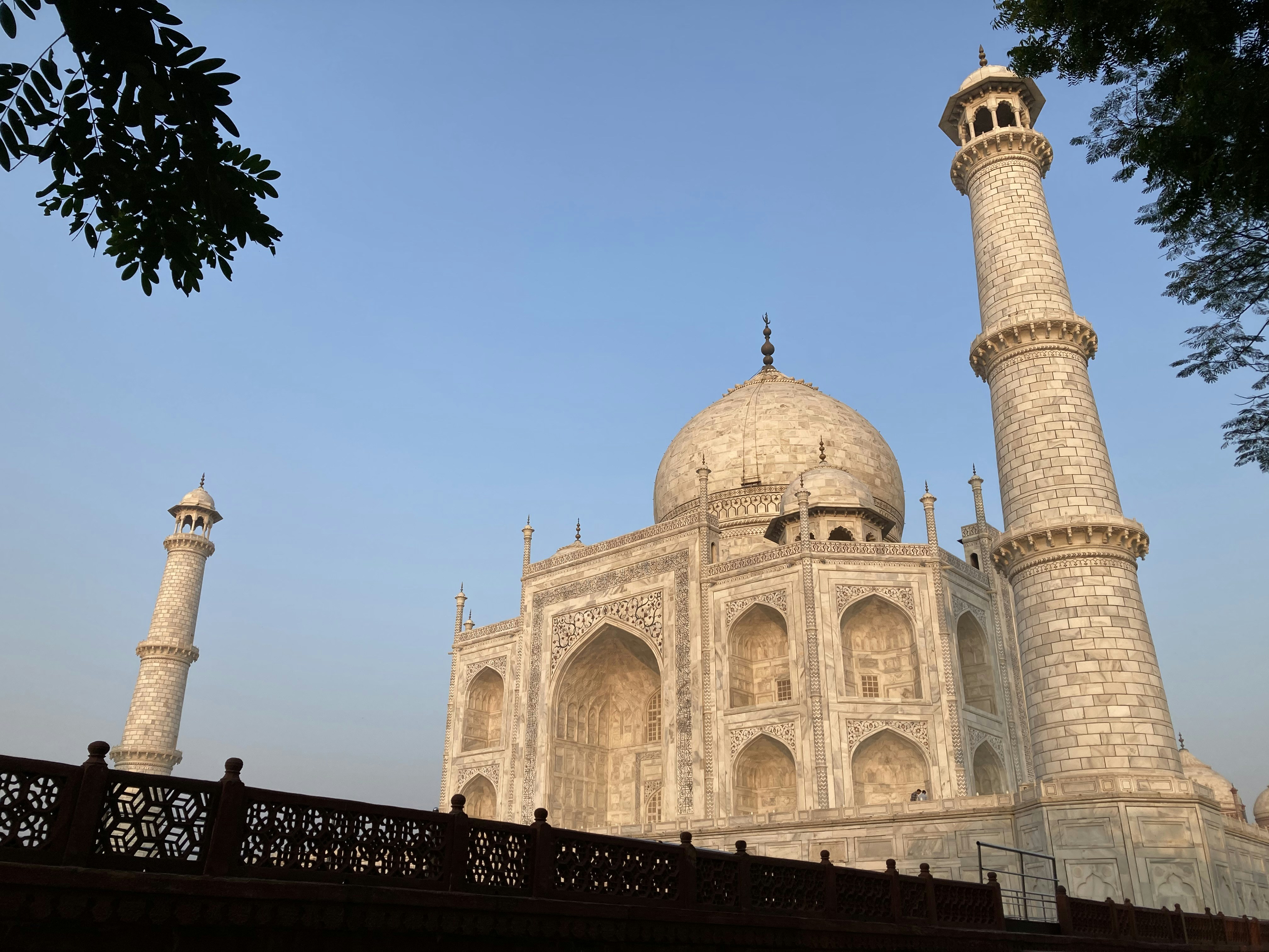 Taj Mahal's marble facade and minarets under a clear blue sky, framed by silhouetted foliage.
