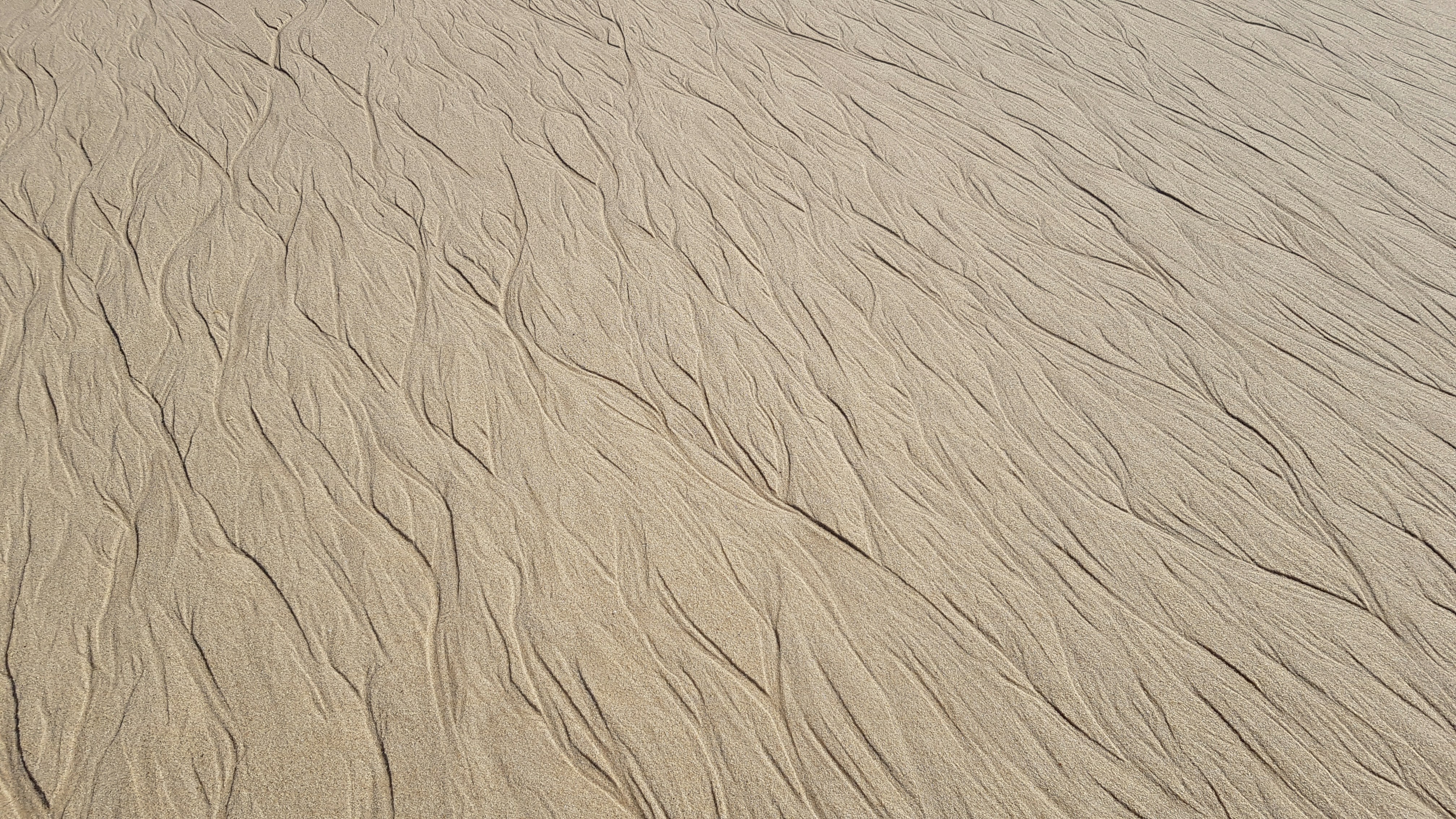 Desert Veil: Interwoven Dunes and Wind-Carved Lines
