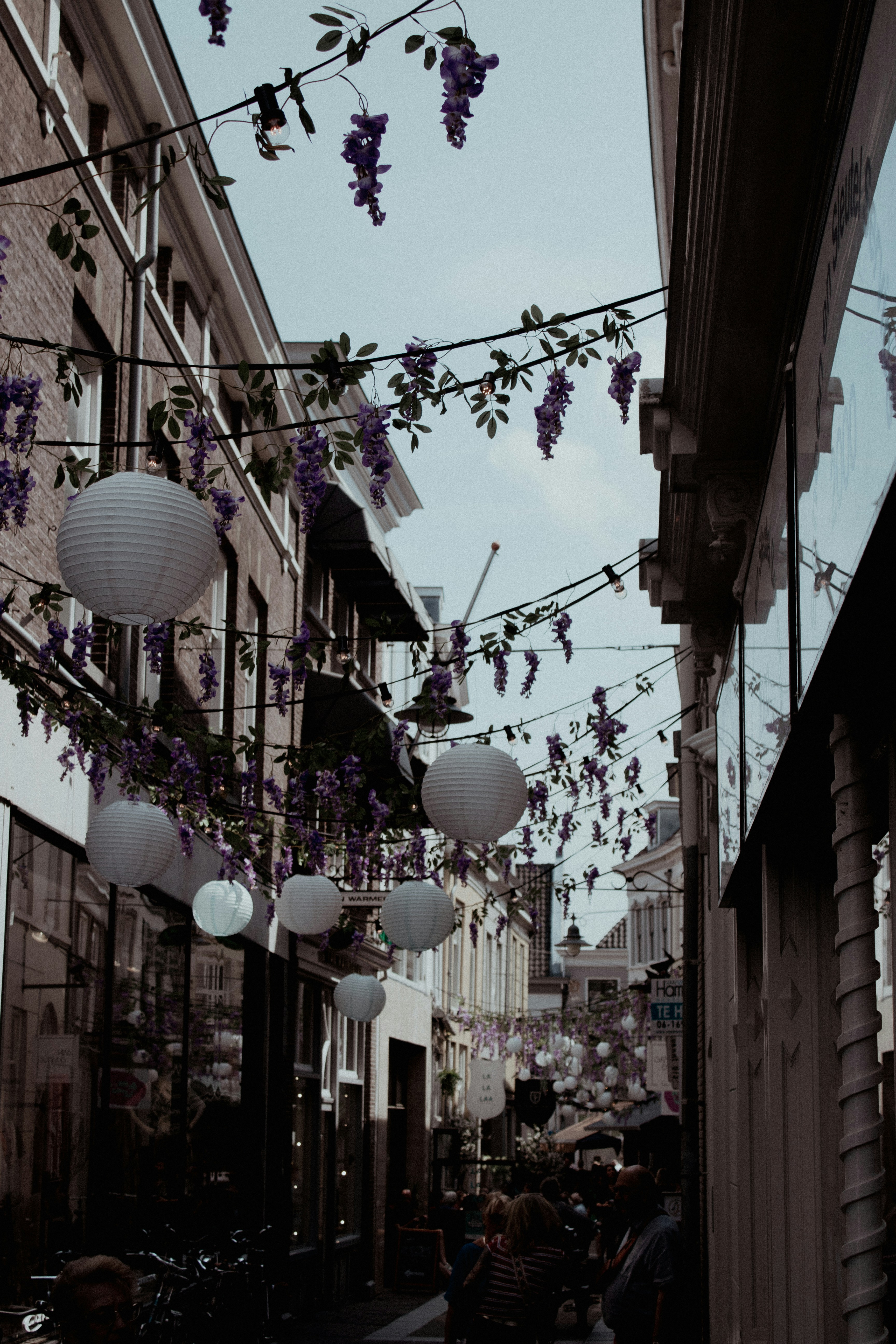 Lilac strings and lanterns over a narrow city lane