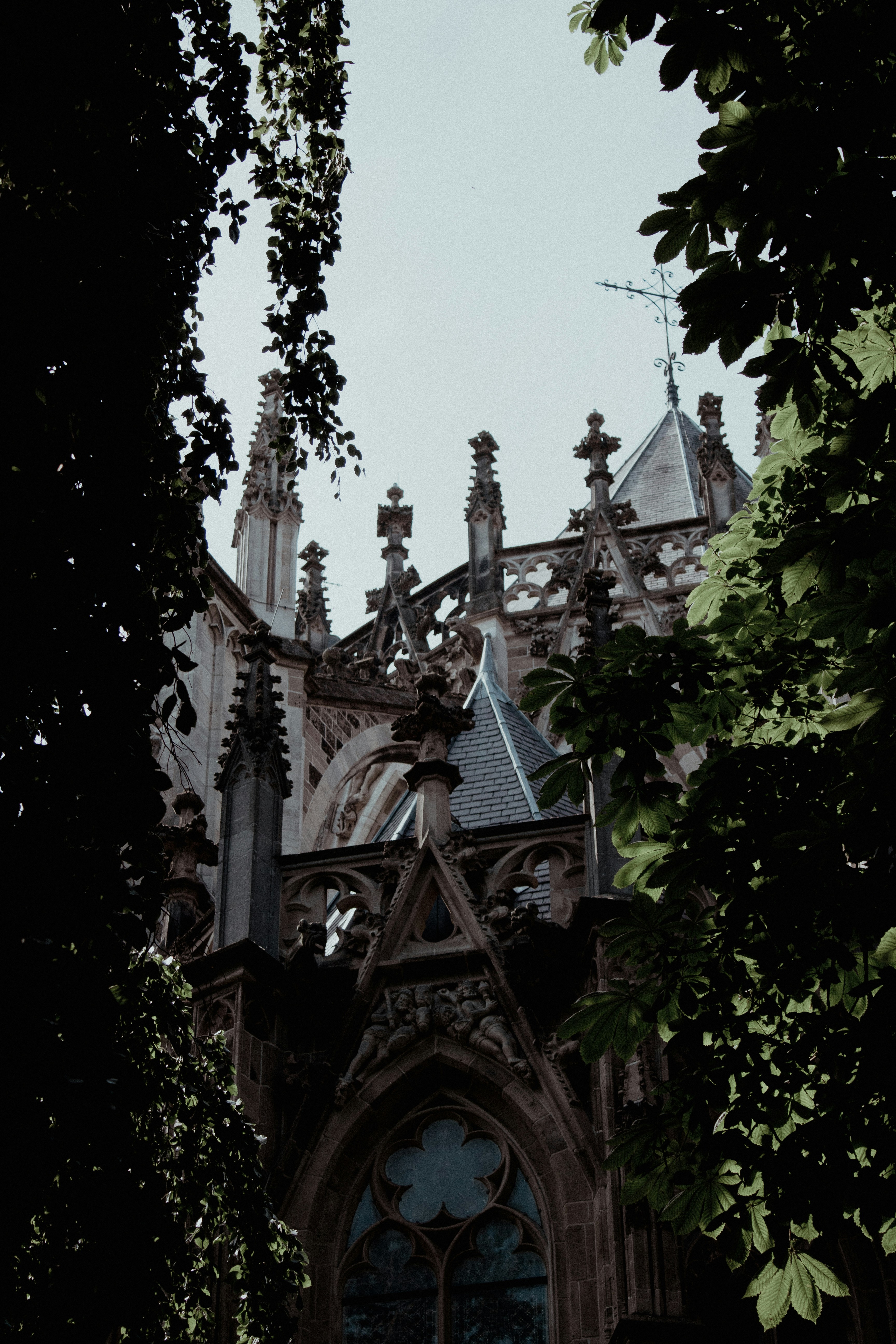 Intricate Gothic architecture partially obscured by lush green foliage, showcasing the harmony between nature and historical design.