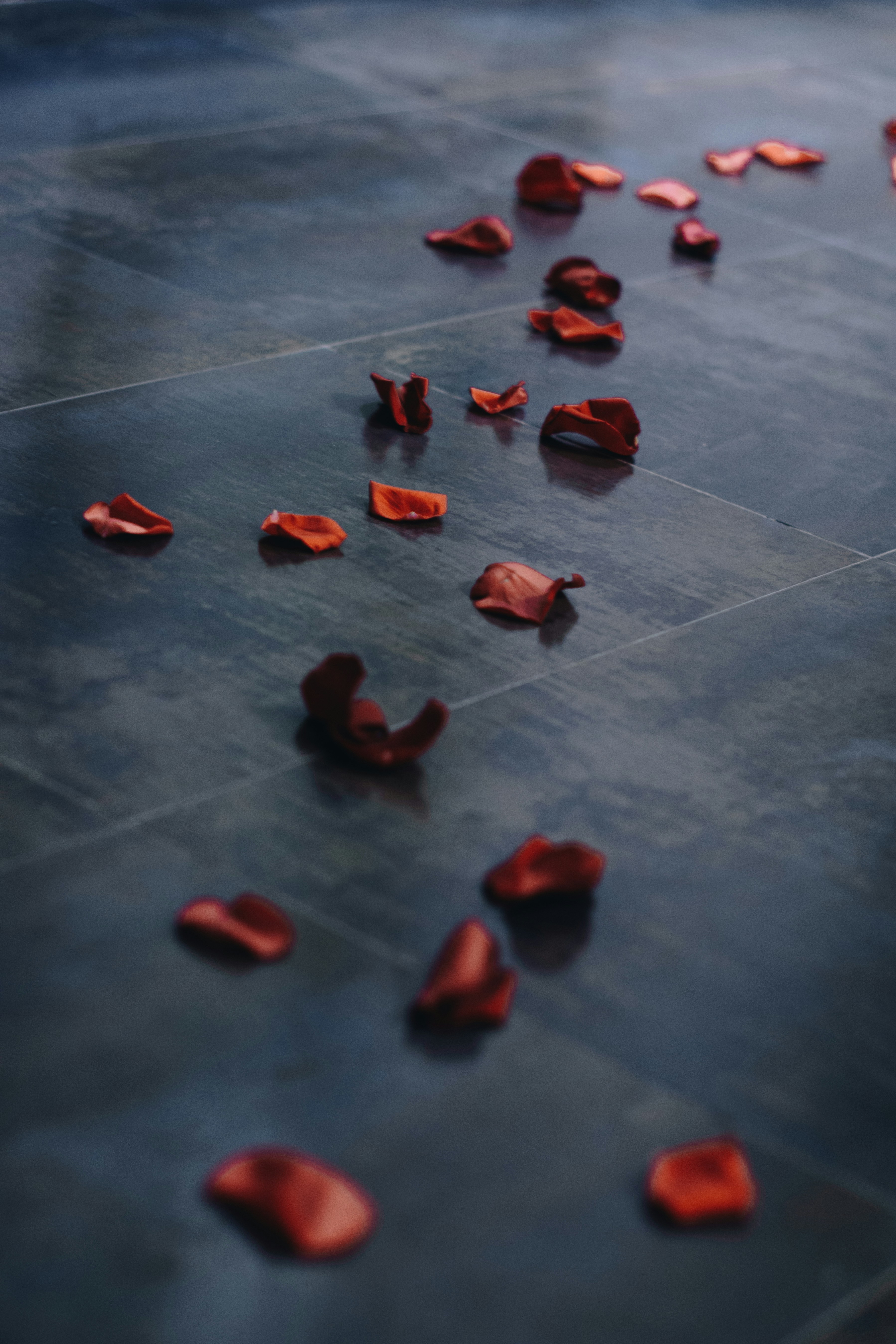 Scattered red rose petals on a polished floor create a romantic ambiance, leading the viewer's eye along the surface. 