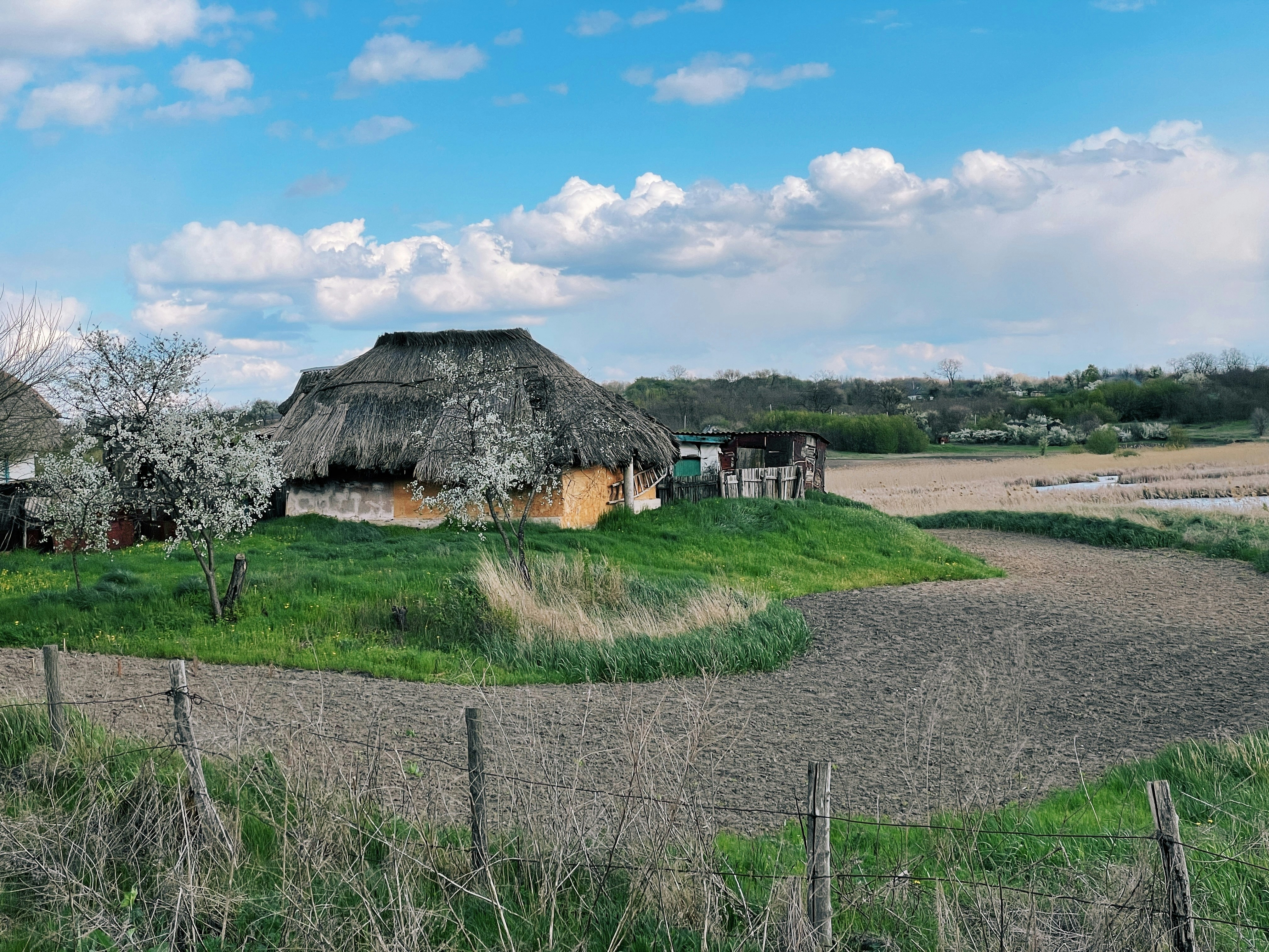 Traditional thatched-roof house surrounded by blooming trees and lush fields under a cloudy sky.