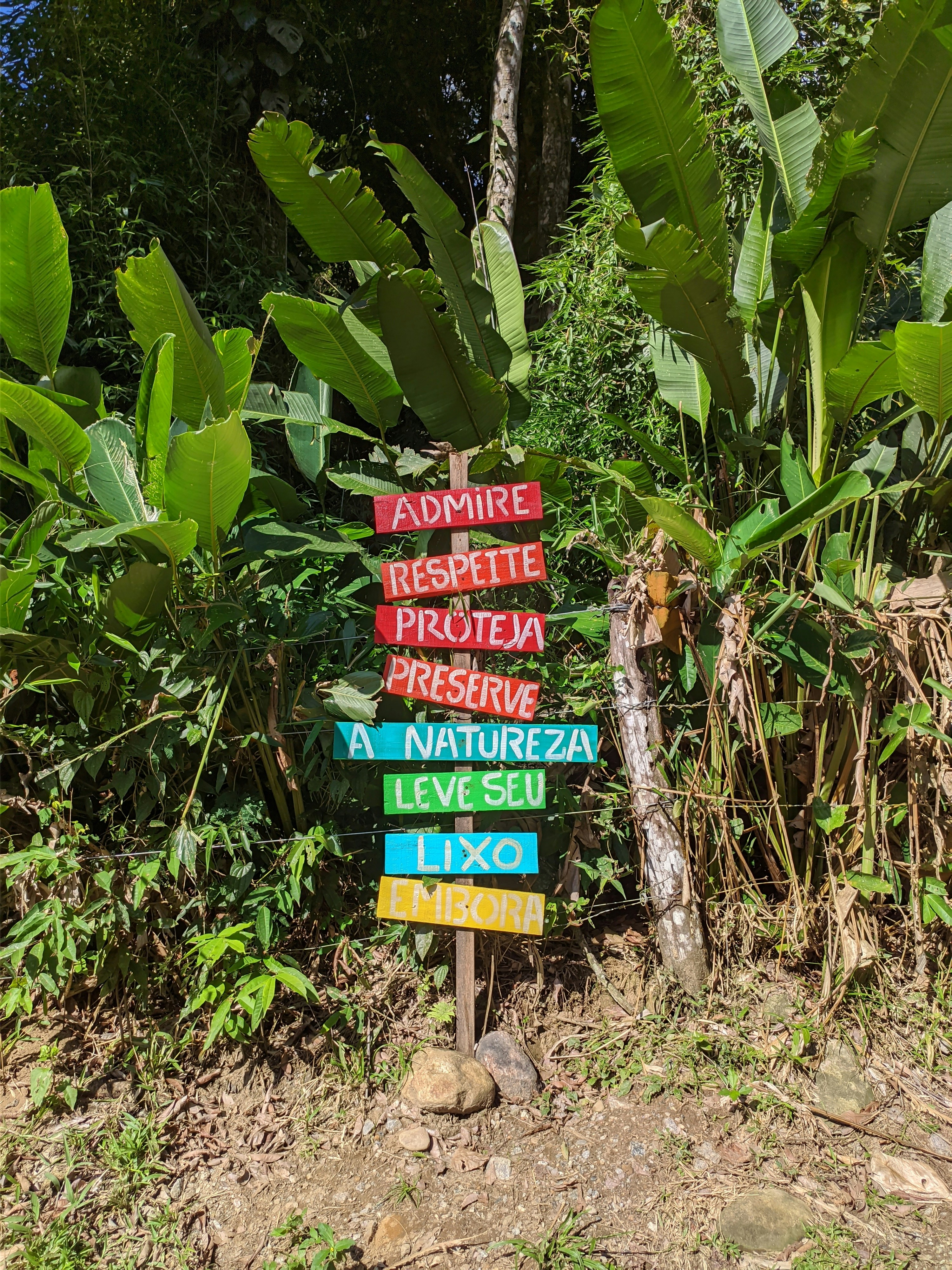 Colorful Signpost of Stewardship Amid Tropical Foliage