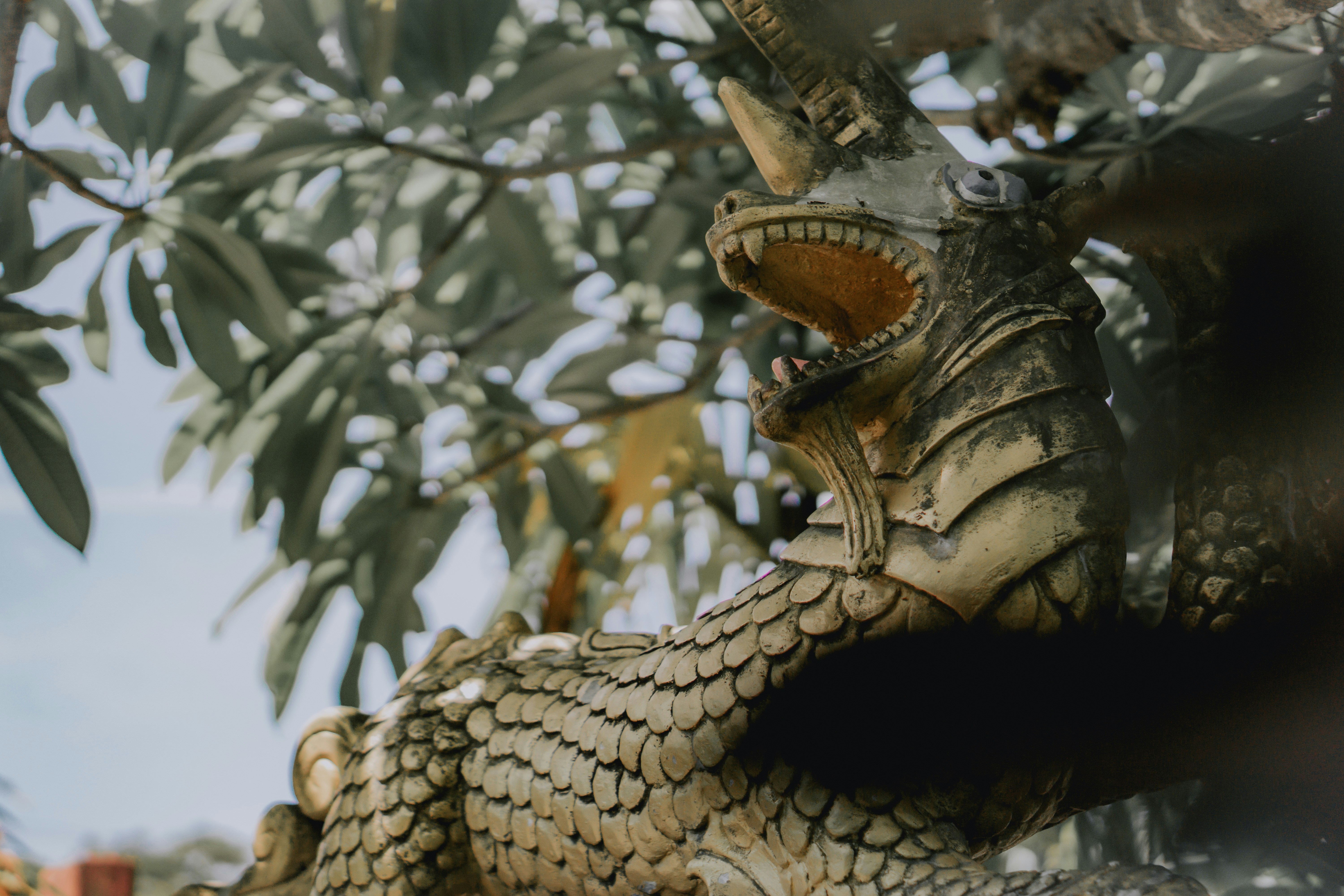Brown dragon statue in close up photography photo – Free Dragon Image ...