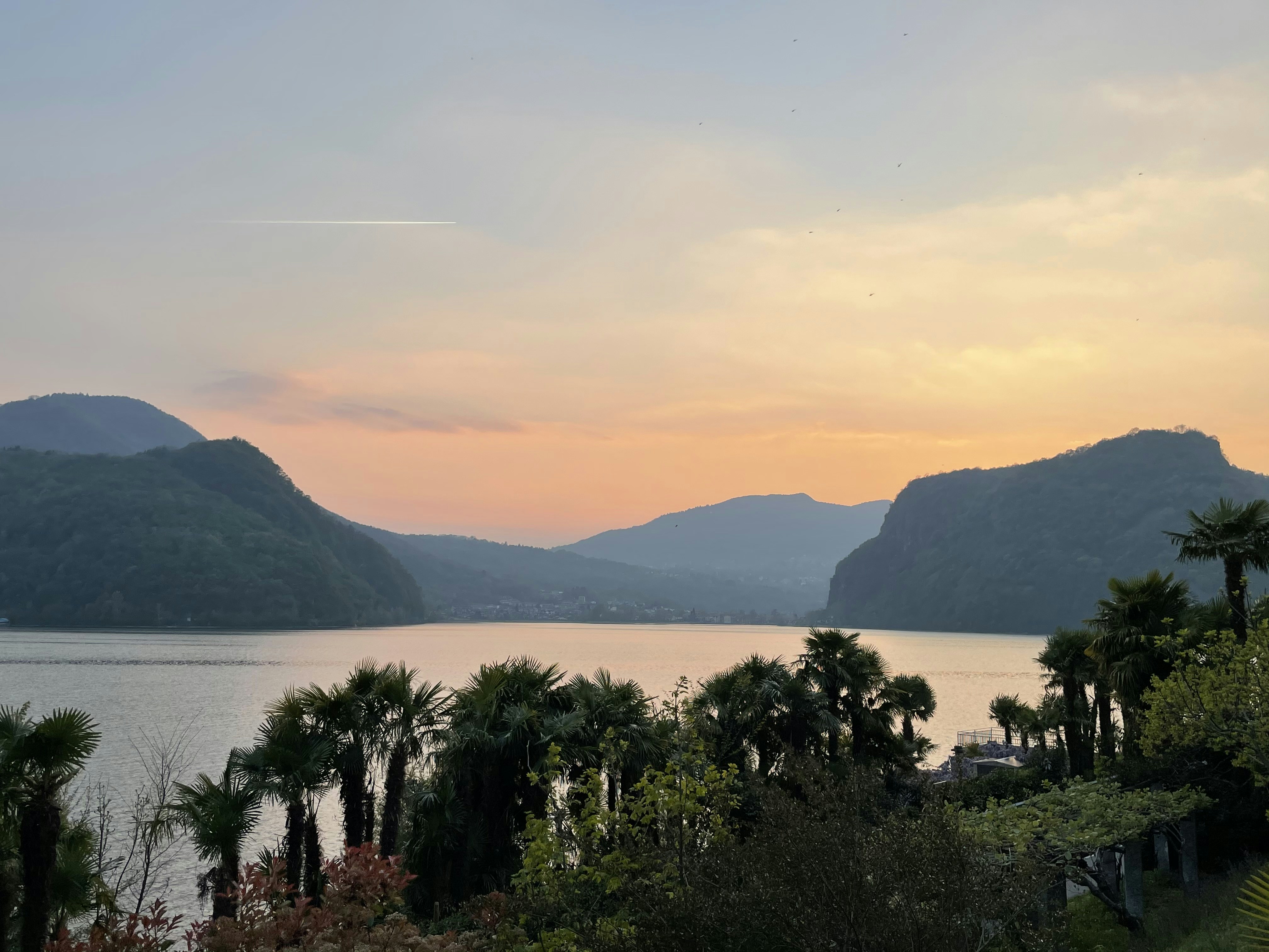 Maxim Rojas (@rojama) | Communauté photos Unsplash