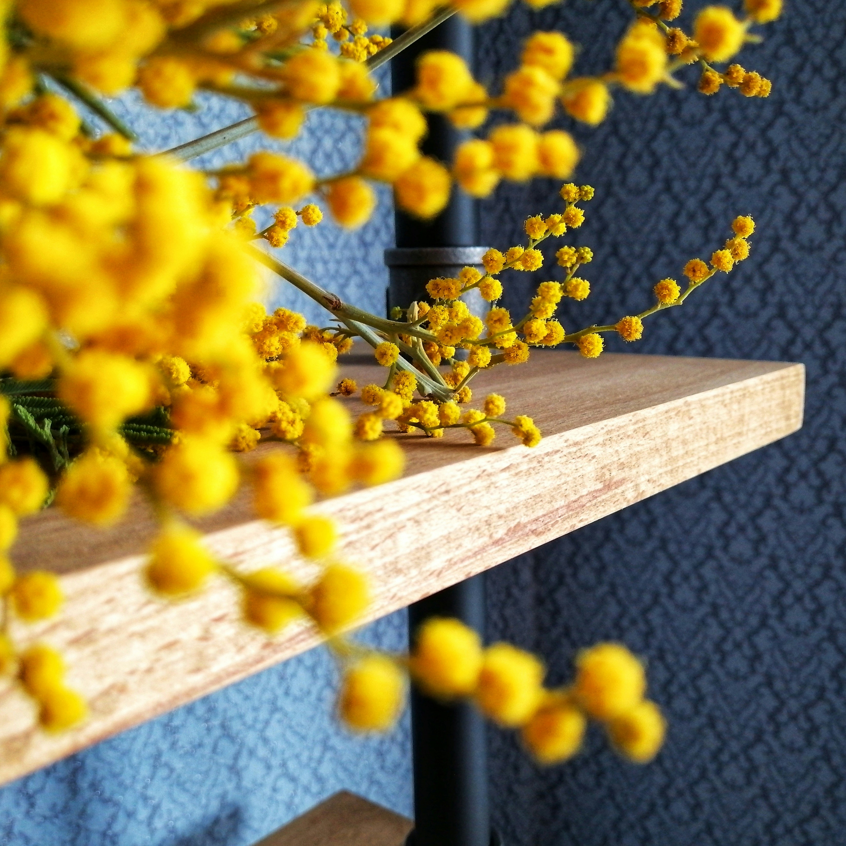 Yellow mimosa blossoms spill across a wooden shelf set against a textured blue wall.