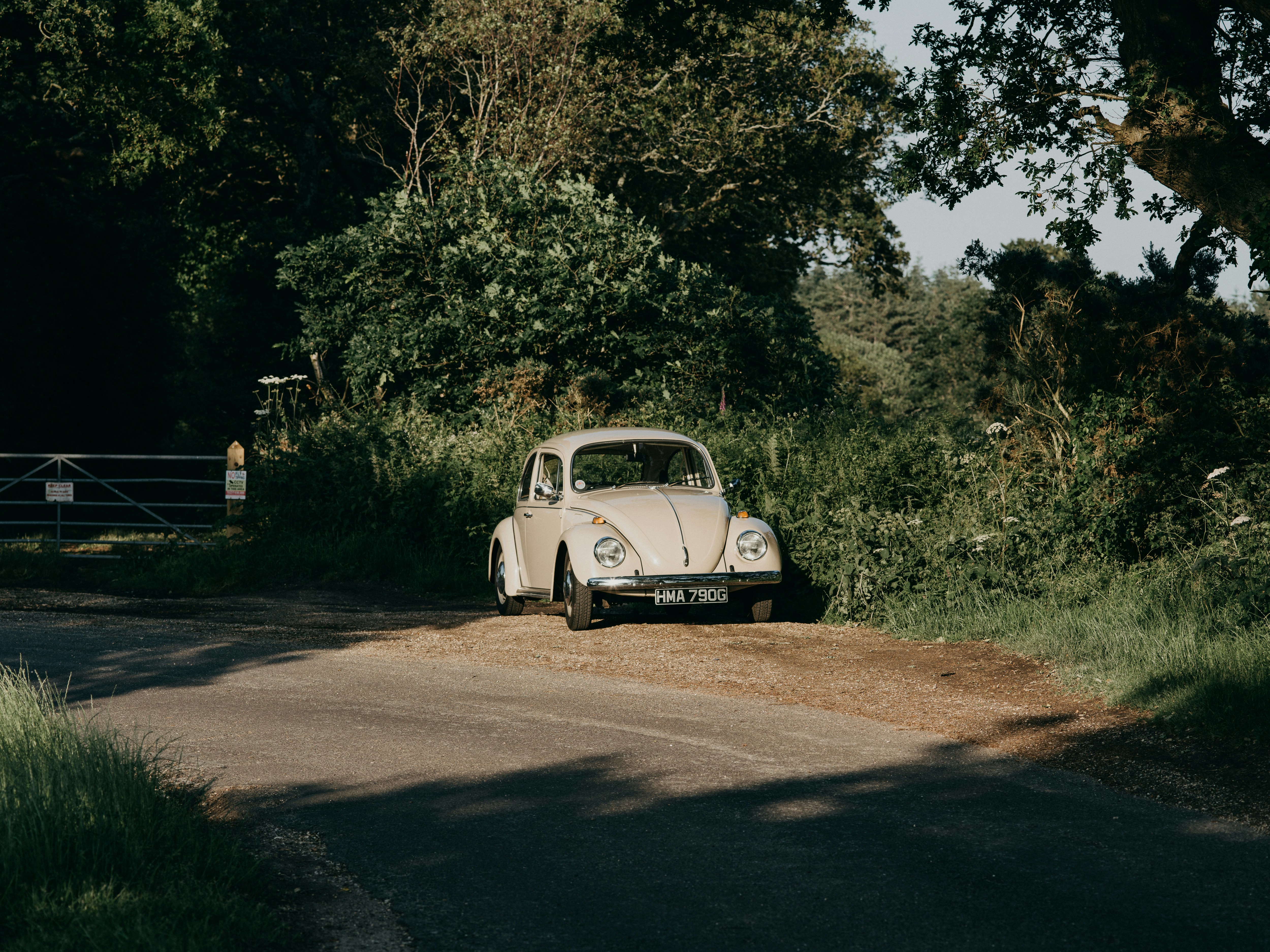 Classic beige Volkswagen Beetle parked beside a winding country road, surrounded by lush greenery and dappled sunlight.