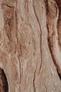 Nature's Intricate Canvas
