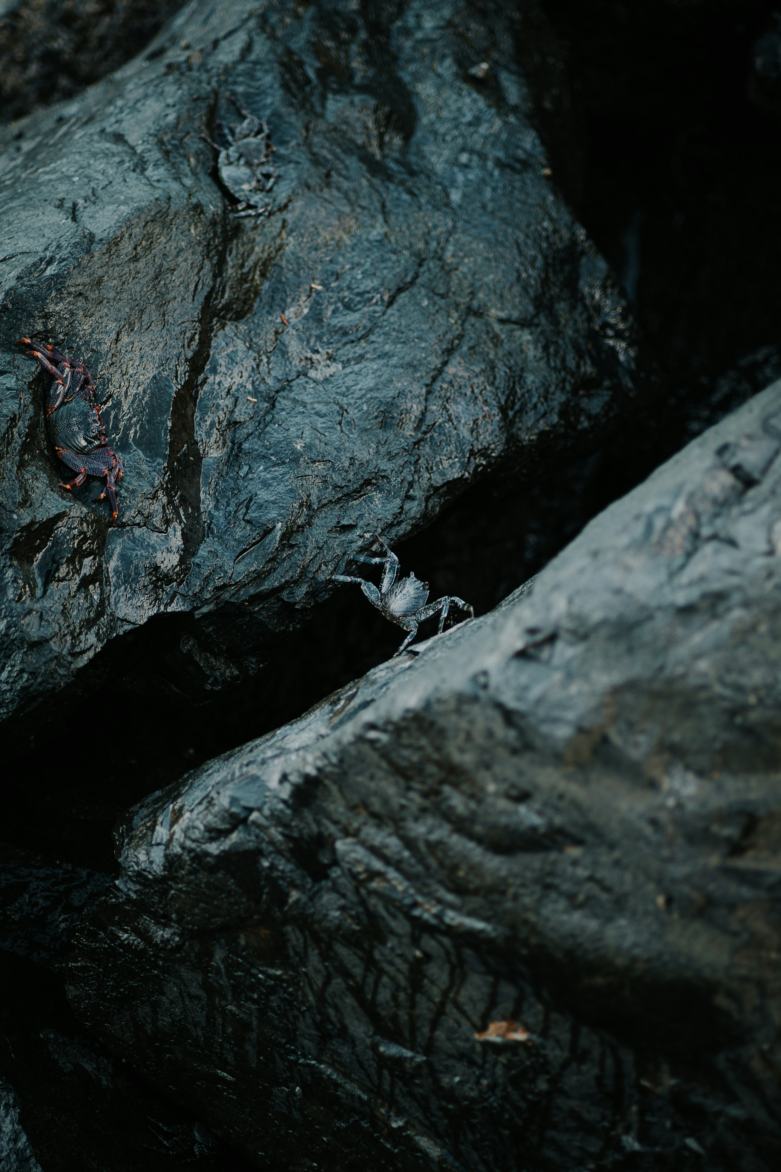 Rugged Crevasse Between Weathered Slabs