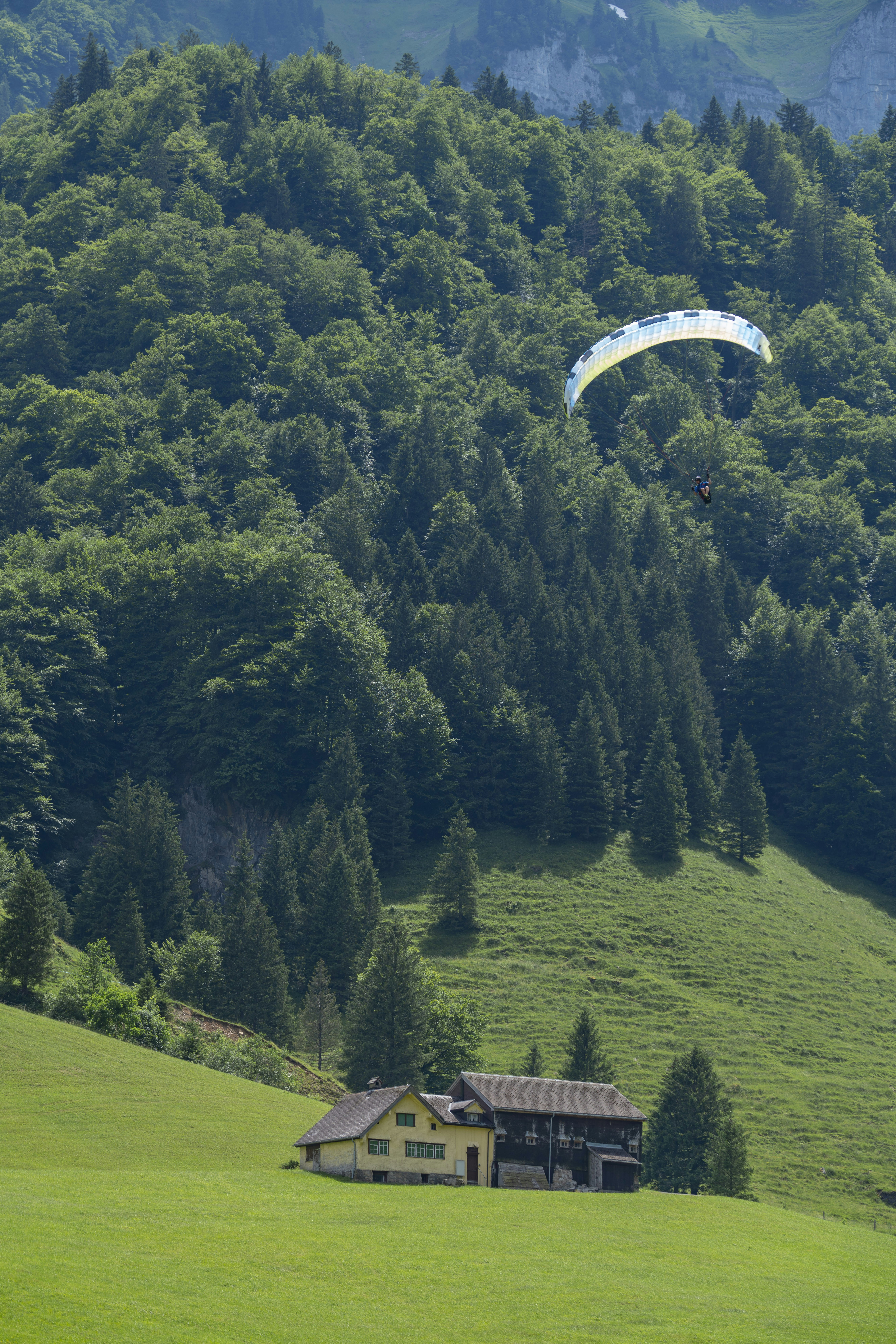 Emerald Alps: a lone paraglider above a meadow and chalet