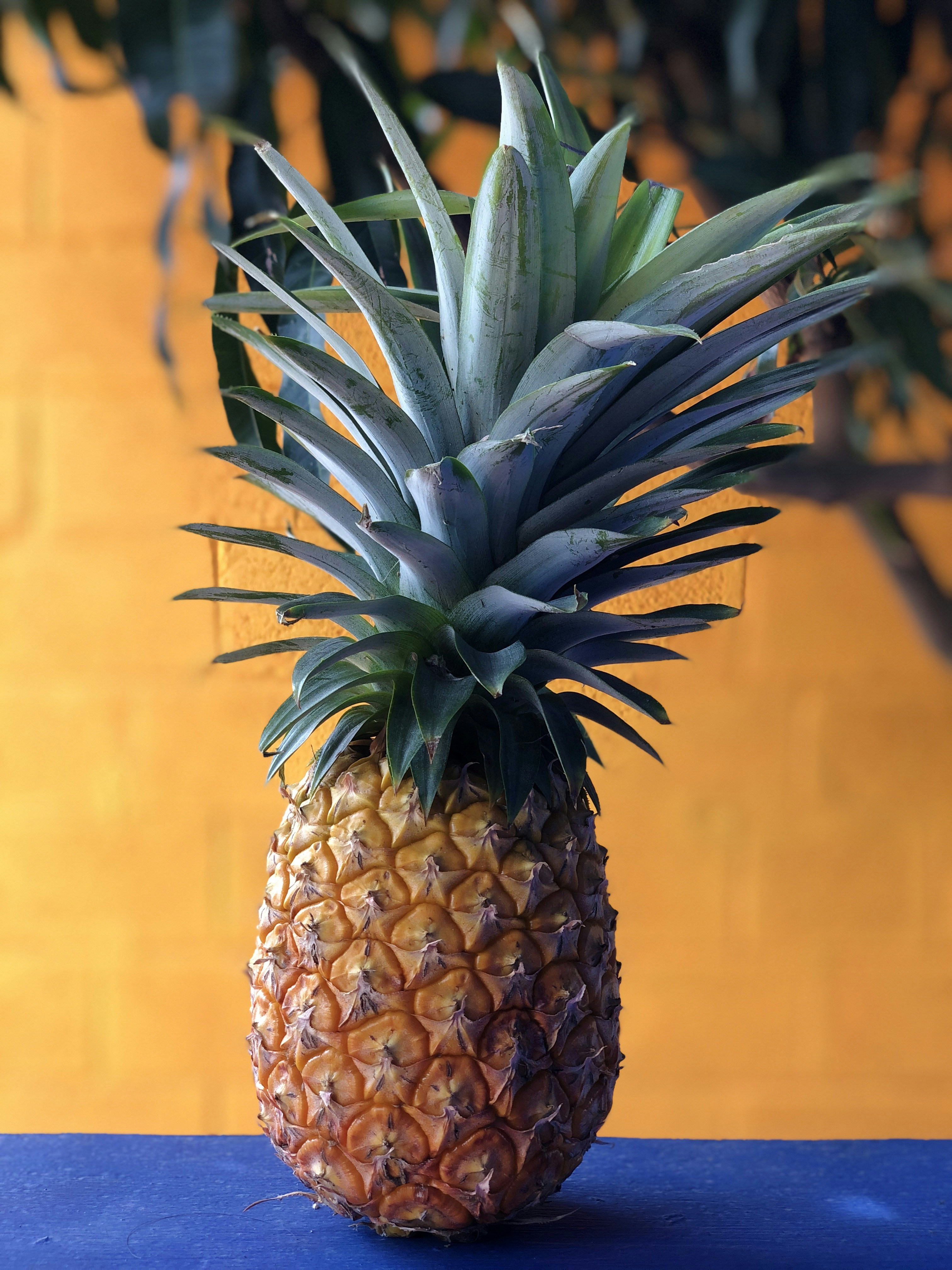 A fresh pineapple stands upright against a vibrant orange backdrop, highlighting its textured skin and lush green leaves.