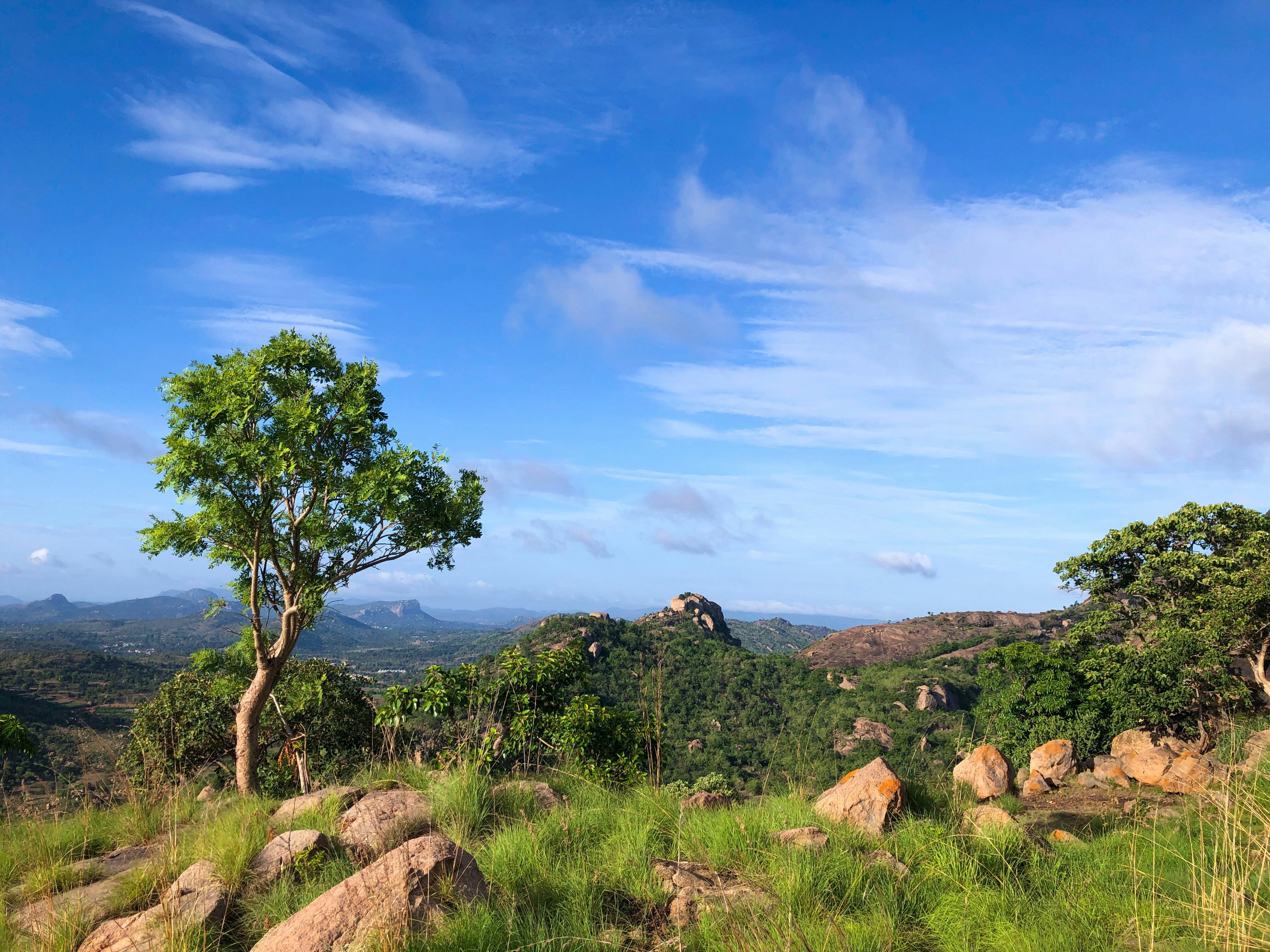 Lush green landscape featuring rocky outcrops and a solitary tree under a clear blue sky.