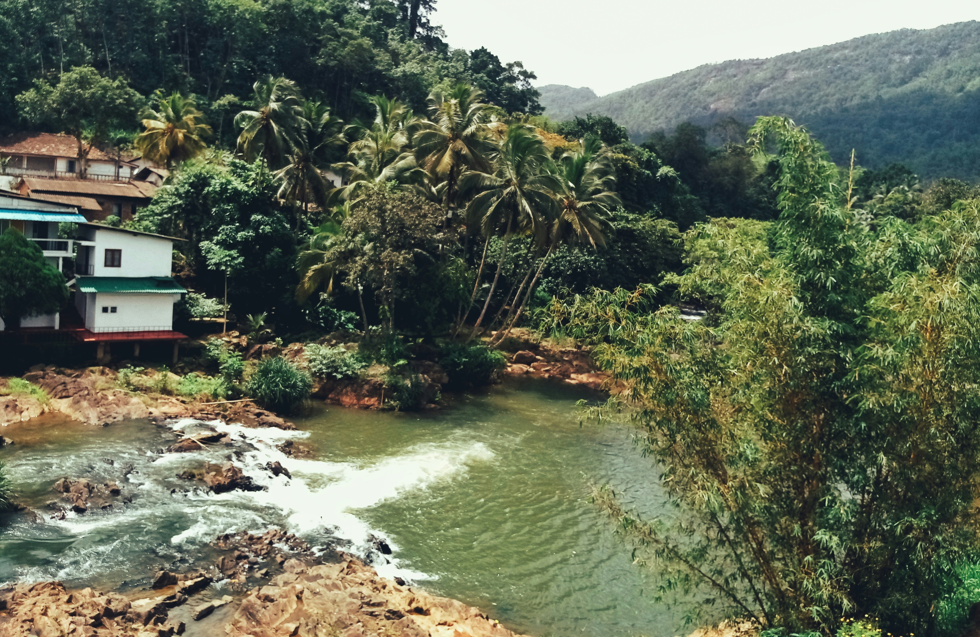 Green trees beside river during daytime photo – Free Ayagama Image on ...