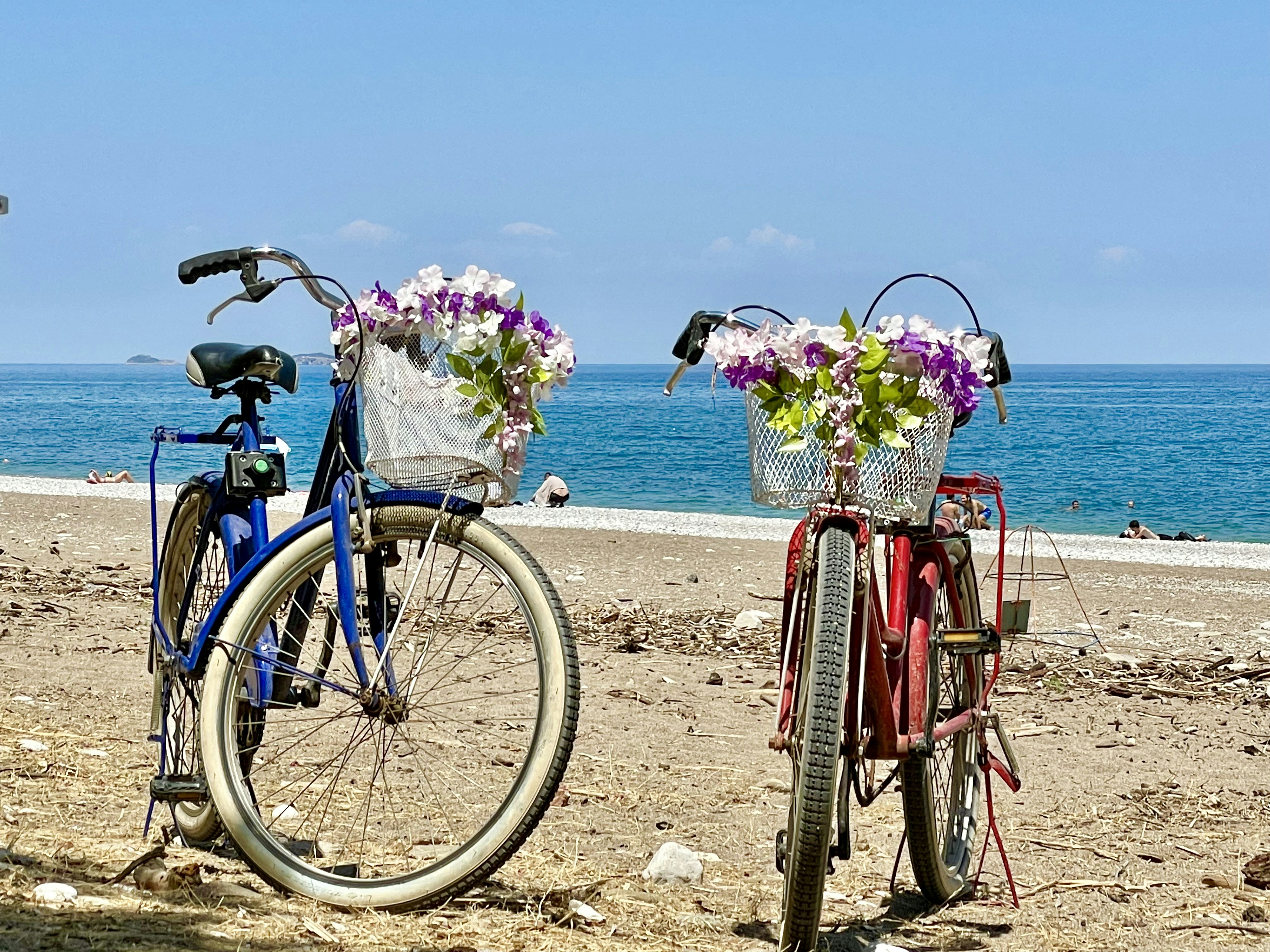 red city bike with flowers on beach shore during daytime
