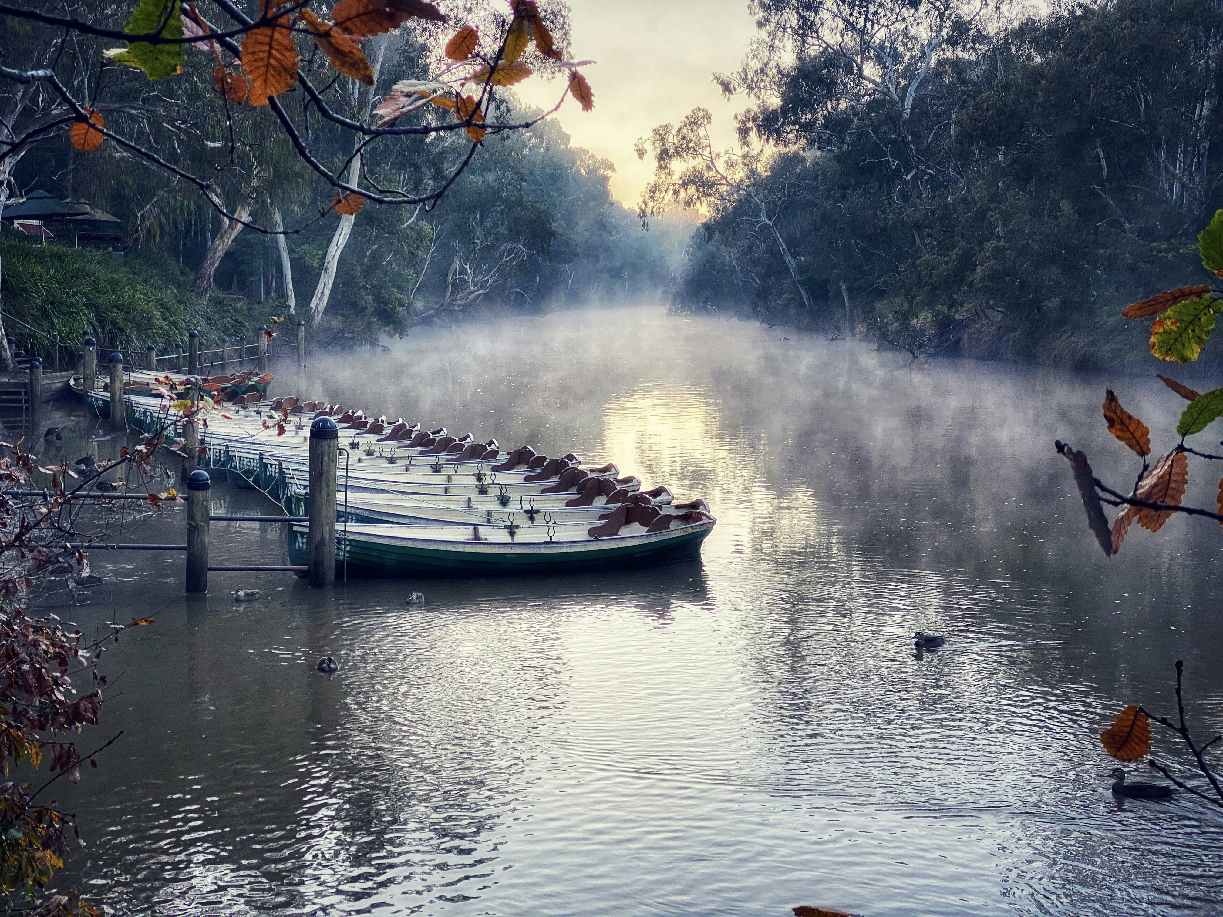 Dawn Mist Drapes a Row of Rowboats on a Tranquil Lakeside